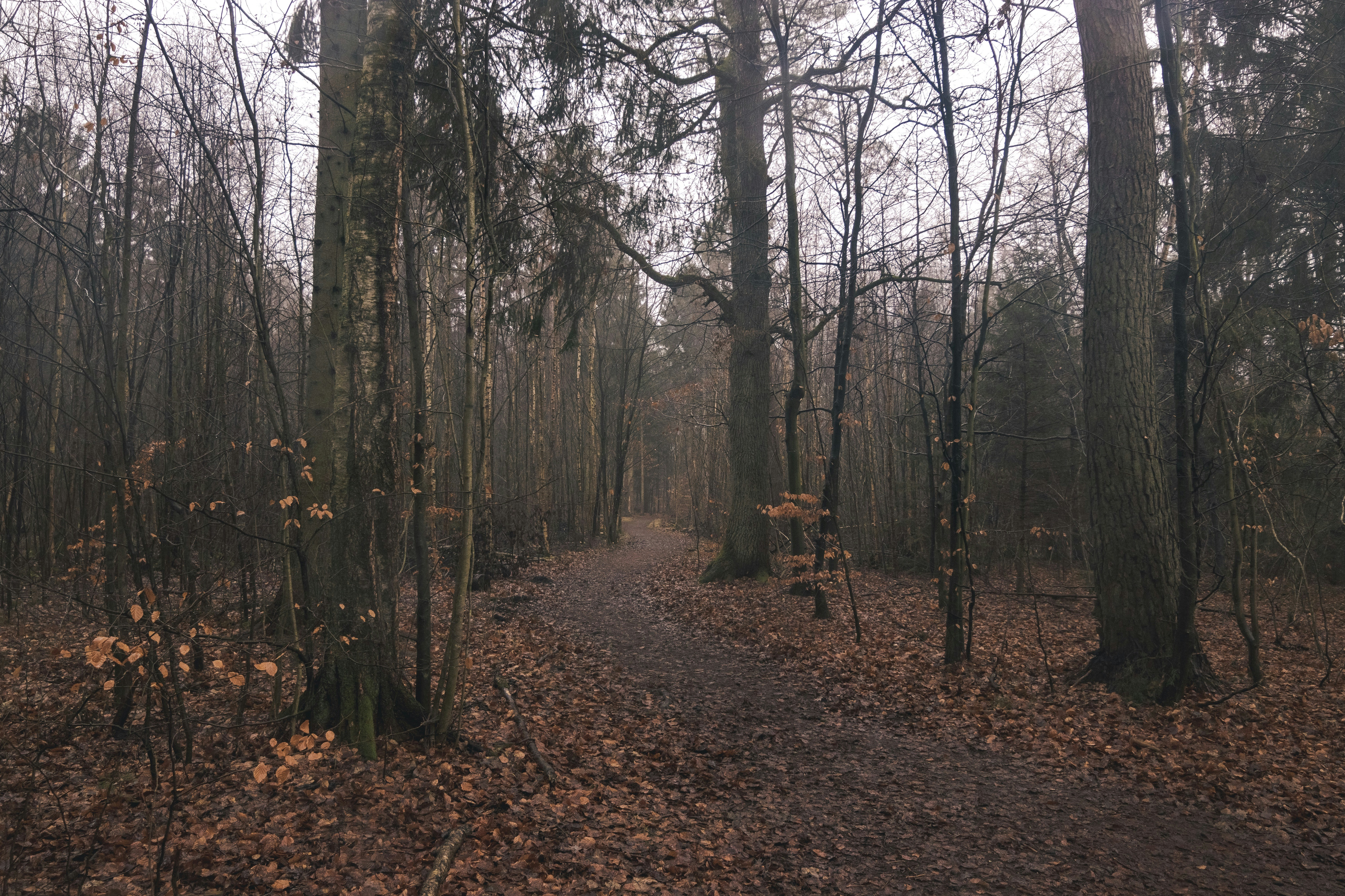 Brown footpath photo – Free Road Image on Unsplash