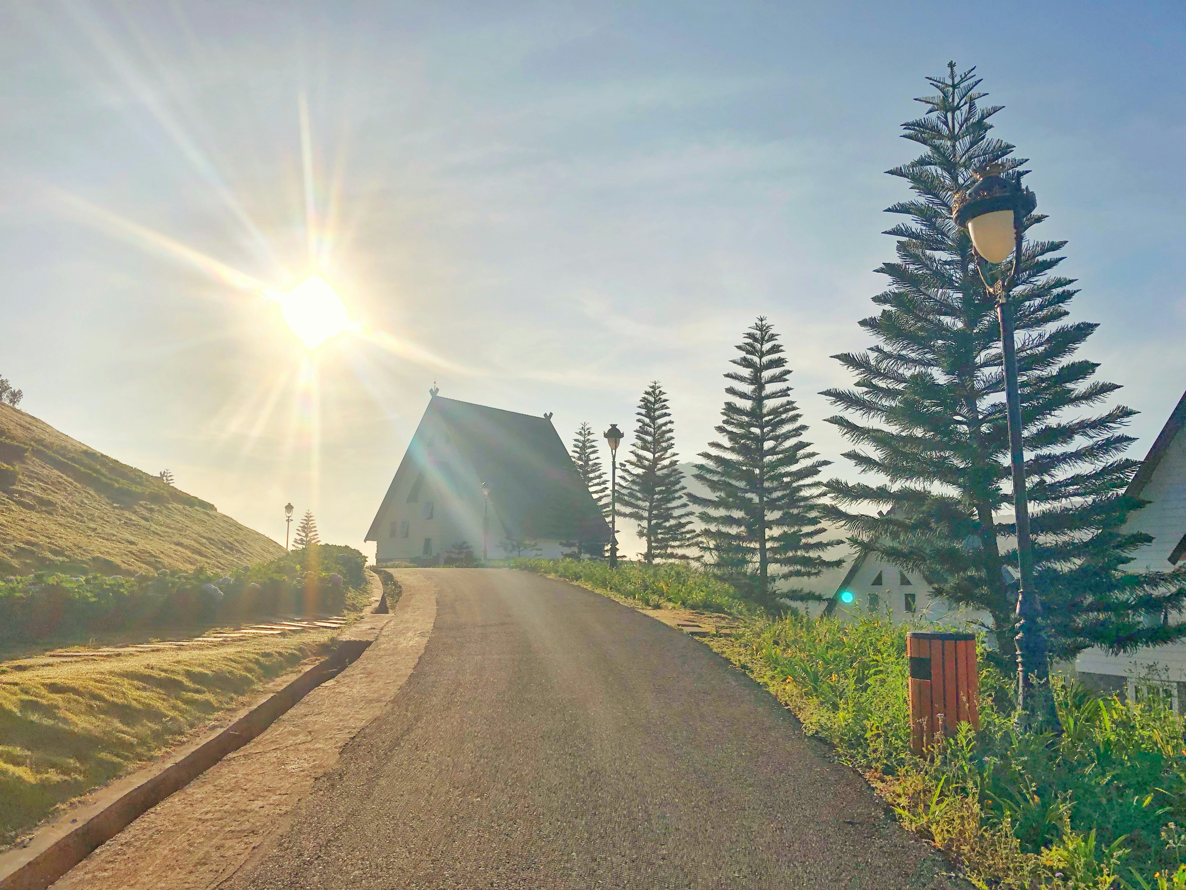 Sun shining over a winding road leading to A-frame houses surrounded by tall pine trees.