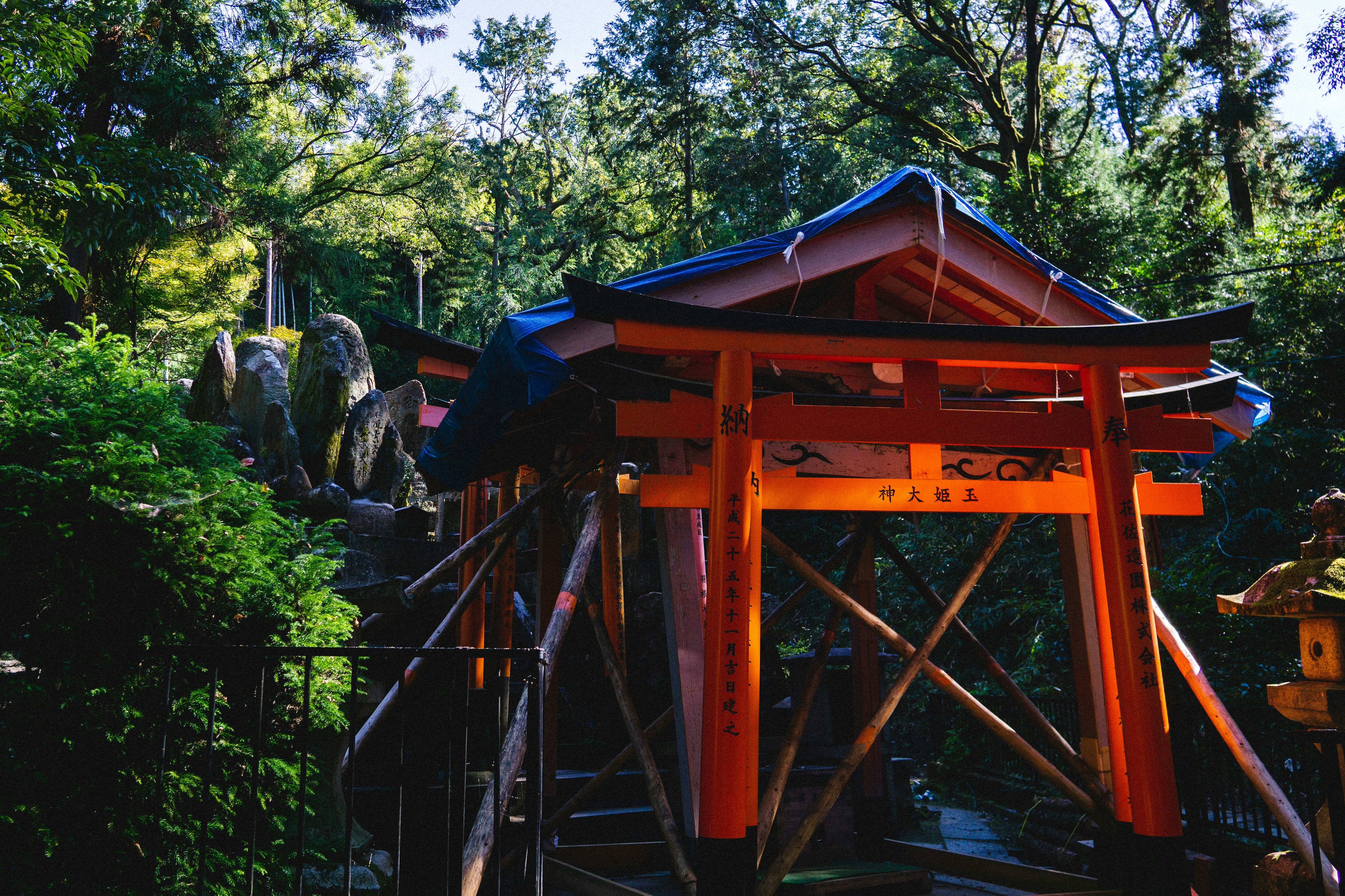 Foto Tori Gate Besude Trees – Imagen Fushimi Inari-Taisha gratis en ...