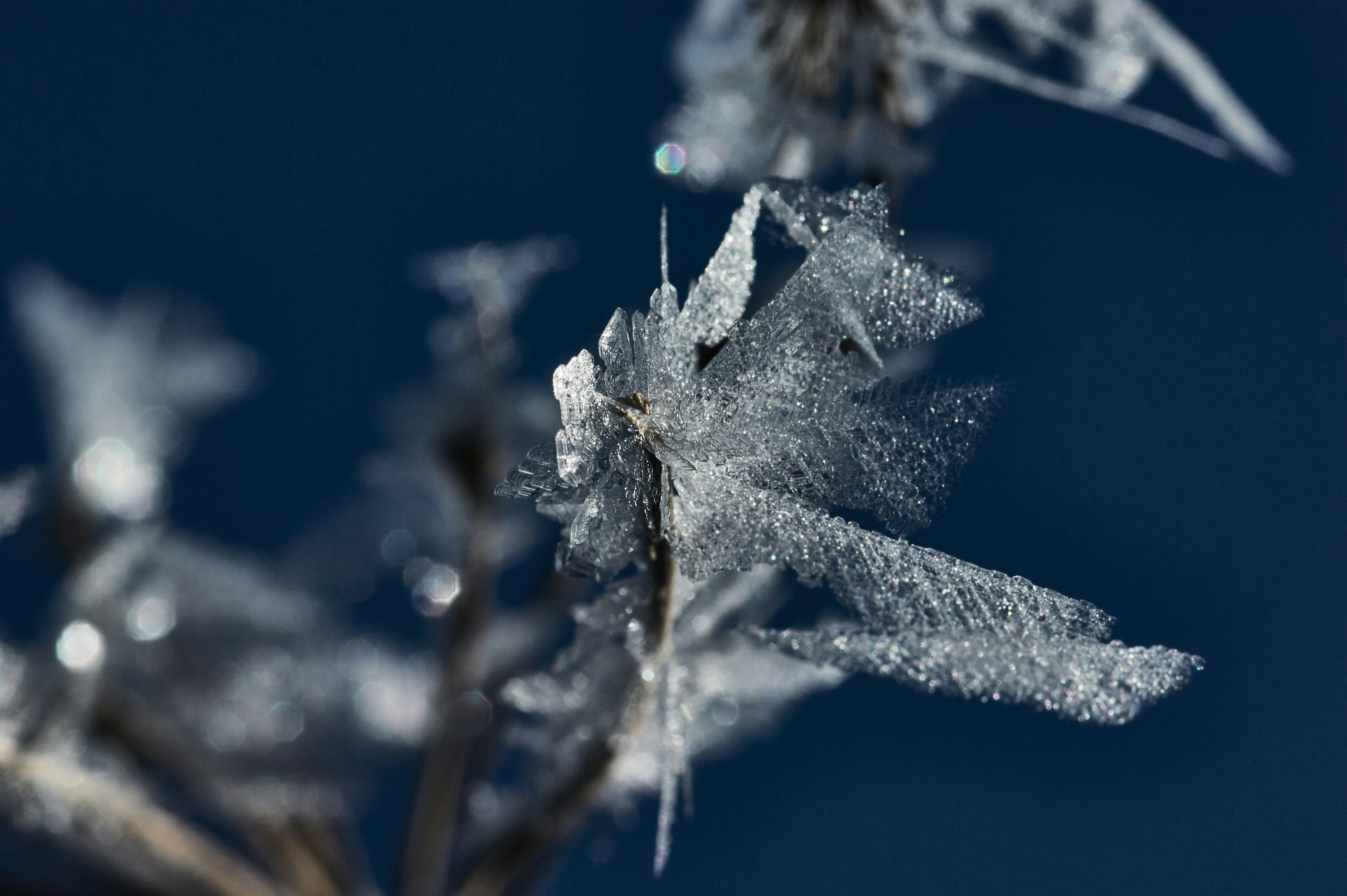 Ice flakes photo – Free Grey Image on Unsplash