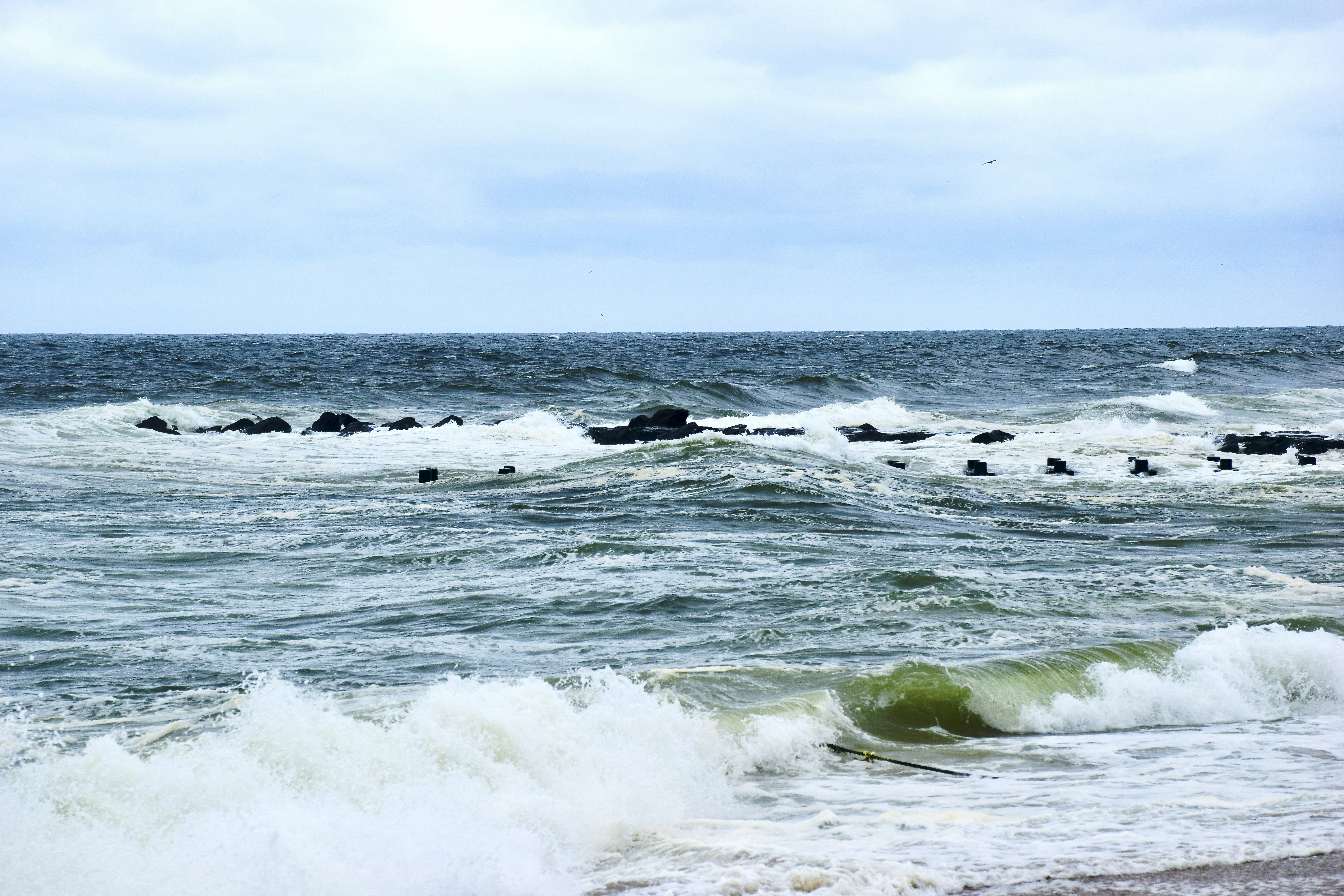 Brie Morales (@bnmorales) | Unsplash Photo Community
