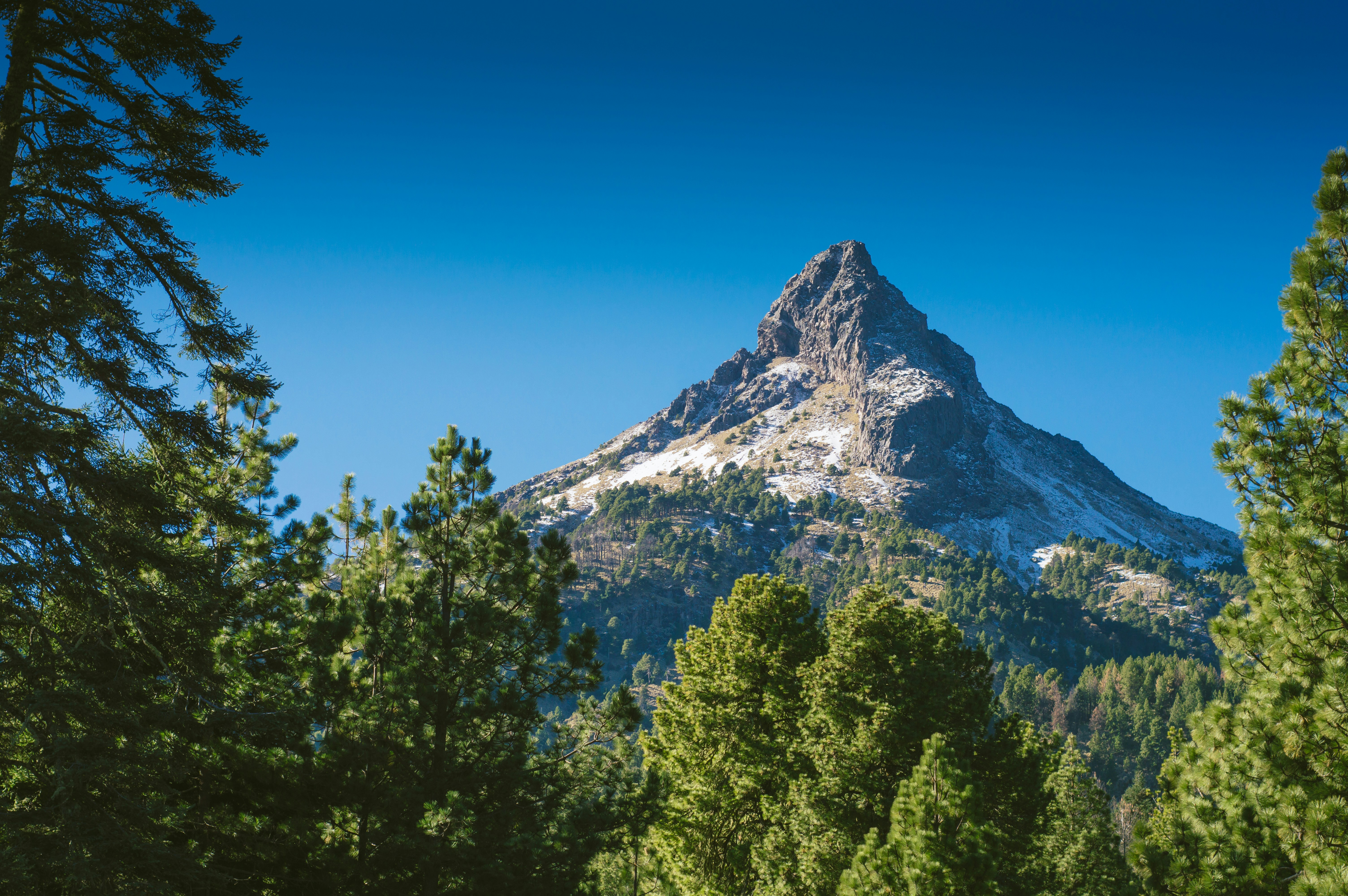 Summit Crowned by Pines: Granite Peak Against a Forest Frame