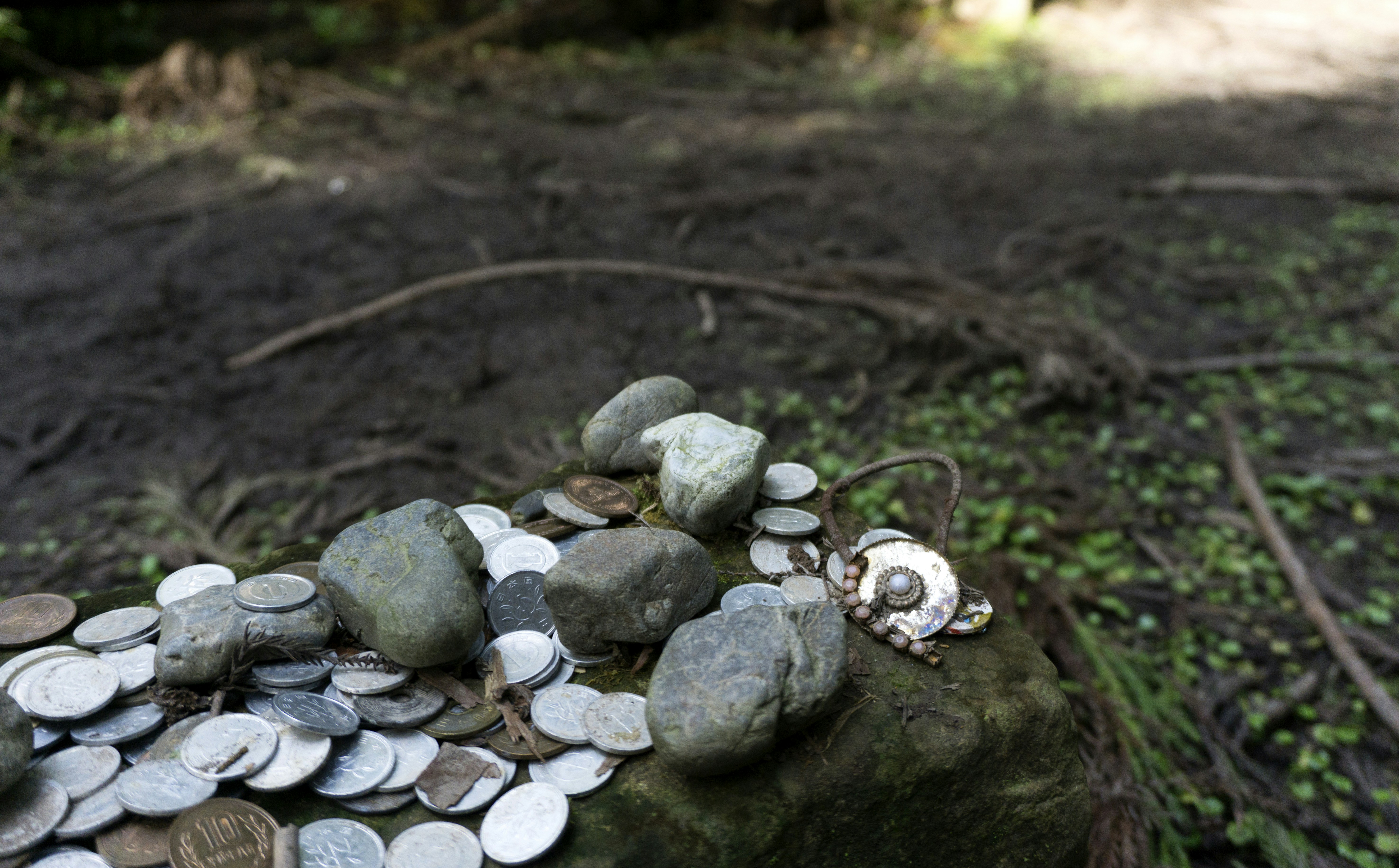 Coins and Stones: Offerings on the Path