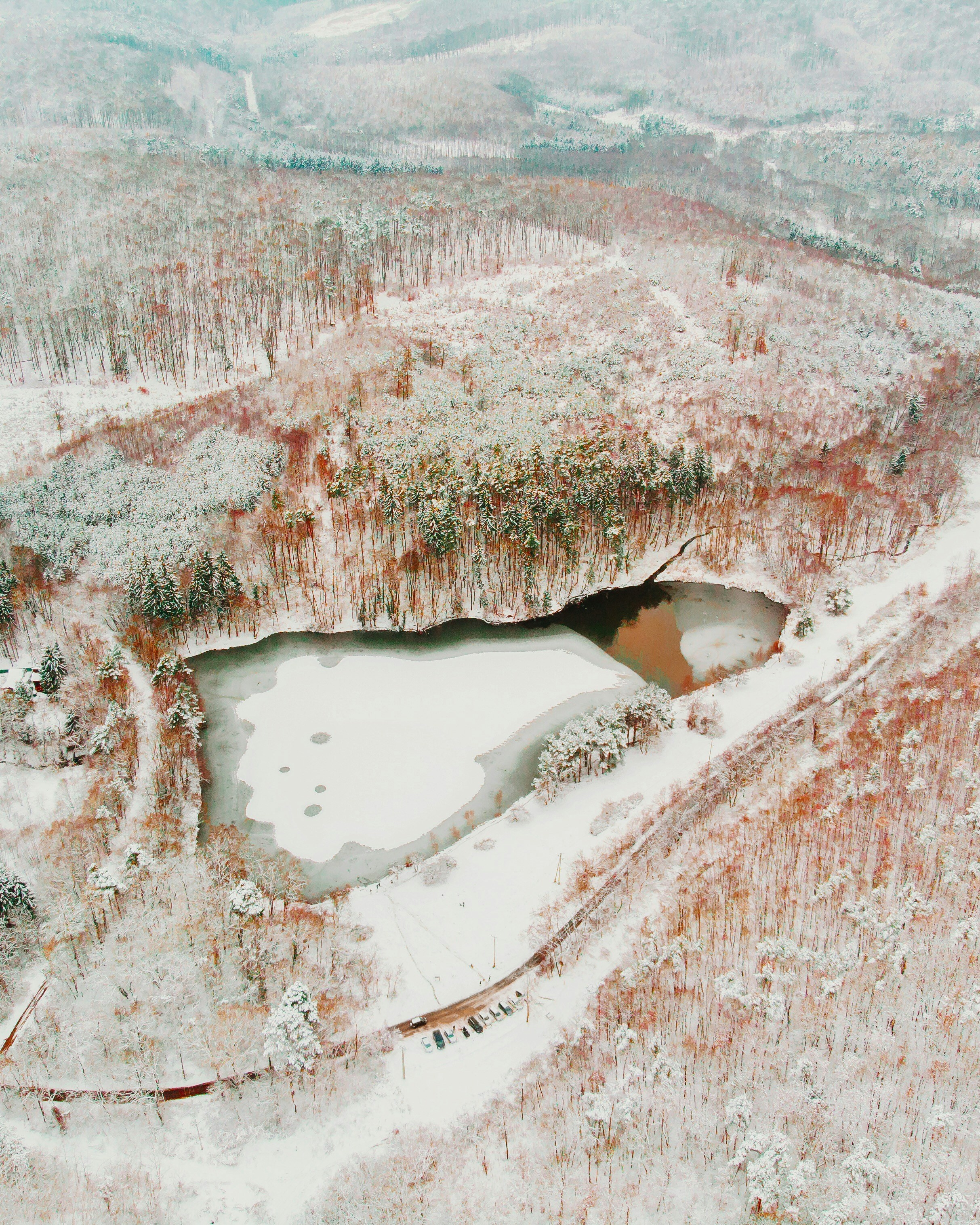 Aerial view of a secluded pond surrounded by snow-laden trees, showcasing the serene beauty of winter's landscape.