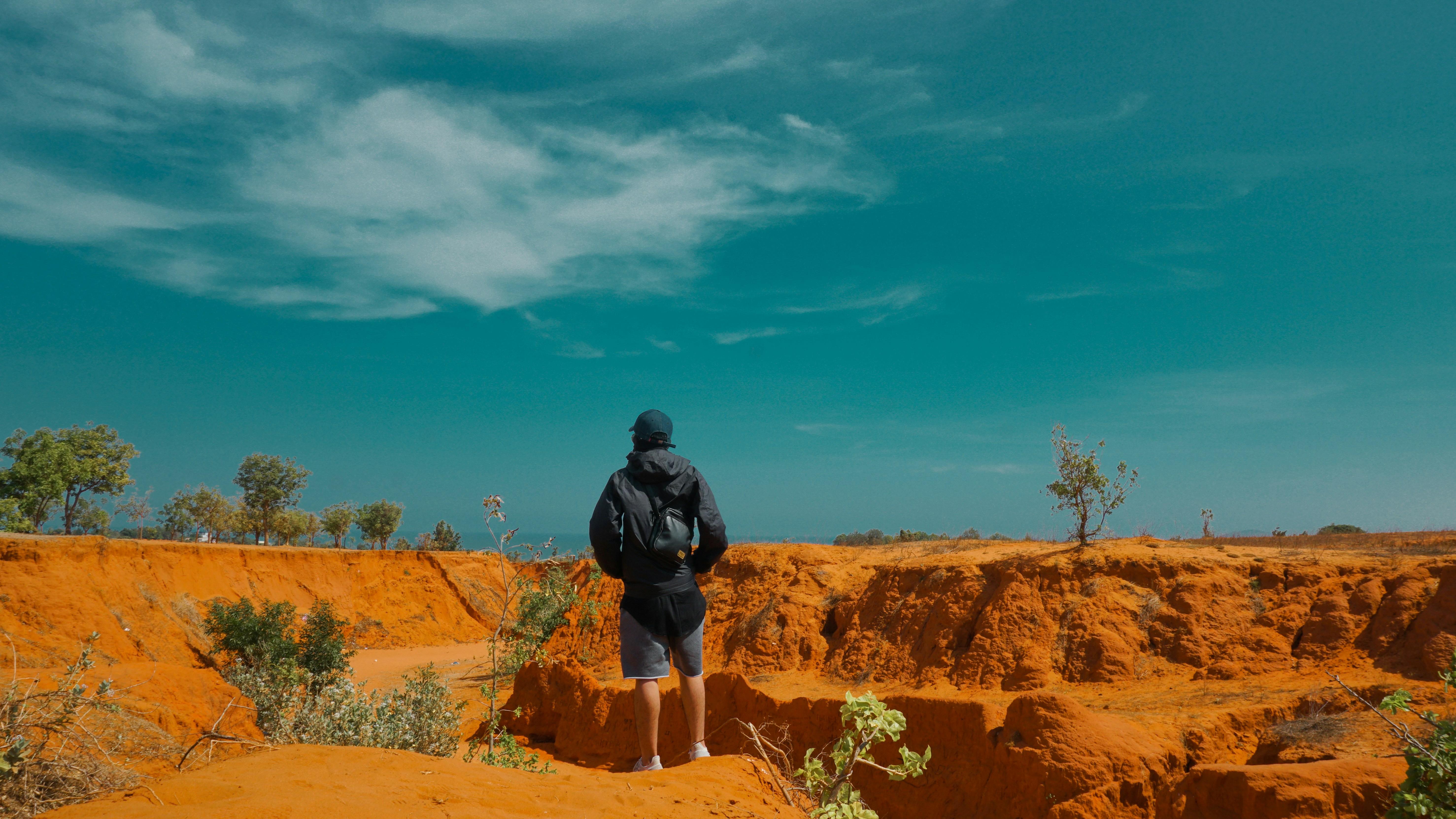 A lone figure gazes over a vibrant orange landscape, surrounded by sparse vegetation and a clear blue sky. The scene captures the essence of solitude in nature.