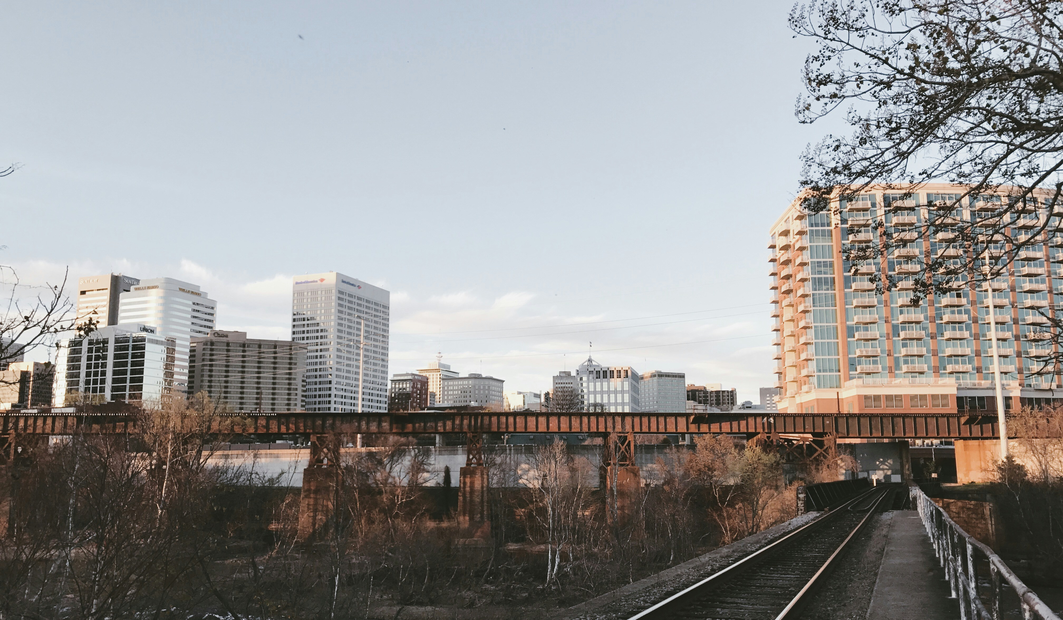 Modern city skyline with a railway bridge in the foreground, framed by trees and soft evening light.