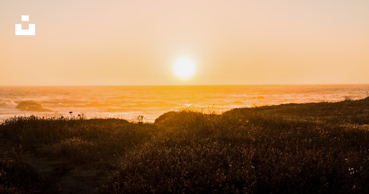 Green Grass Near Body Of Water During Sunset Photo Free Nature Image