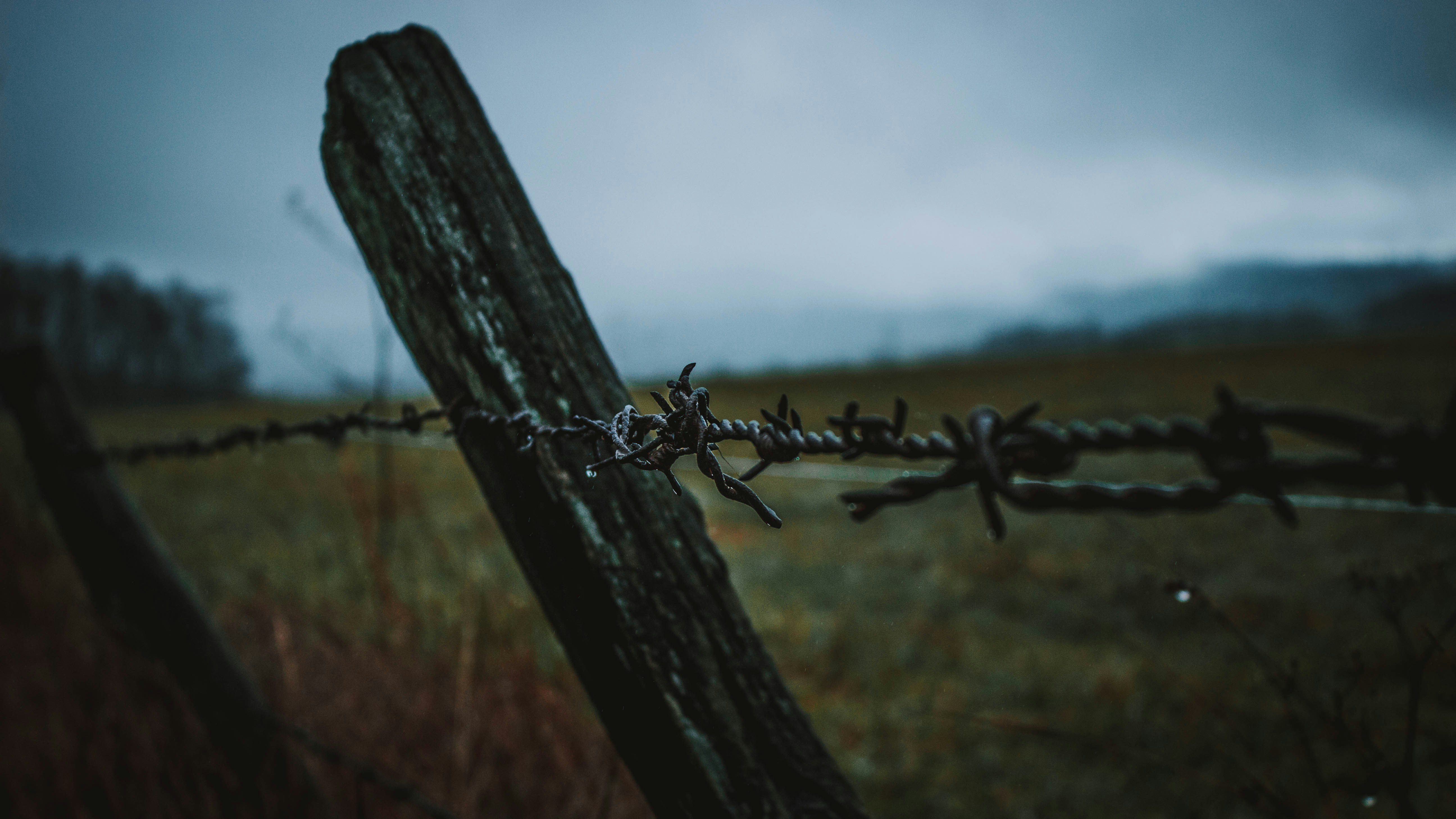 Black bob wires photo – Free Wallpaper Image on Unsplash