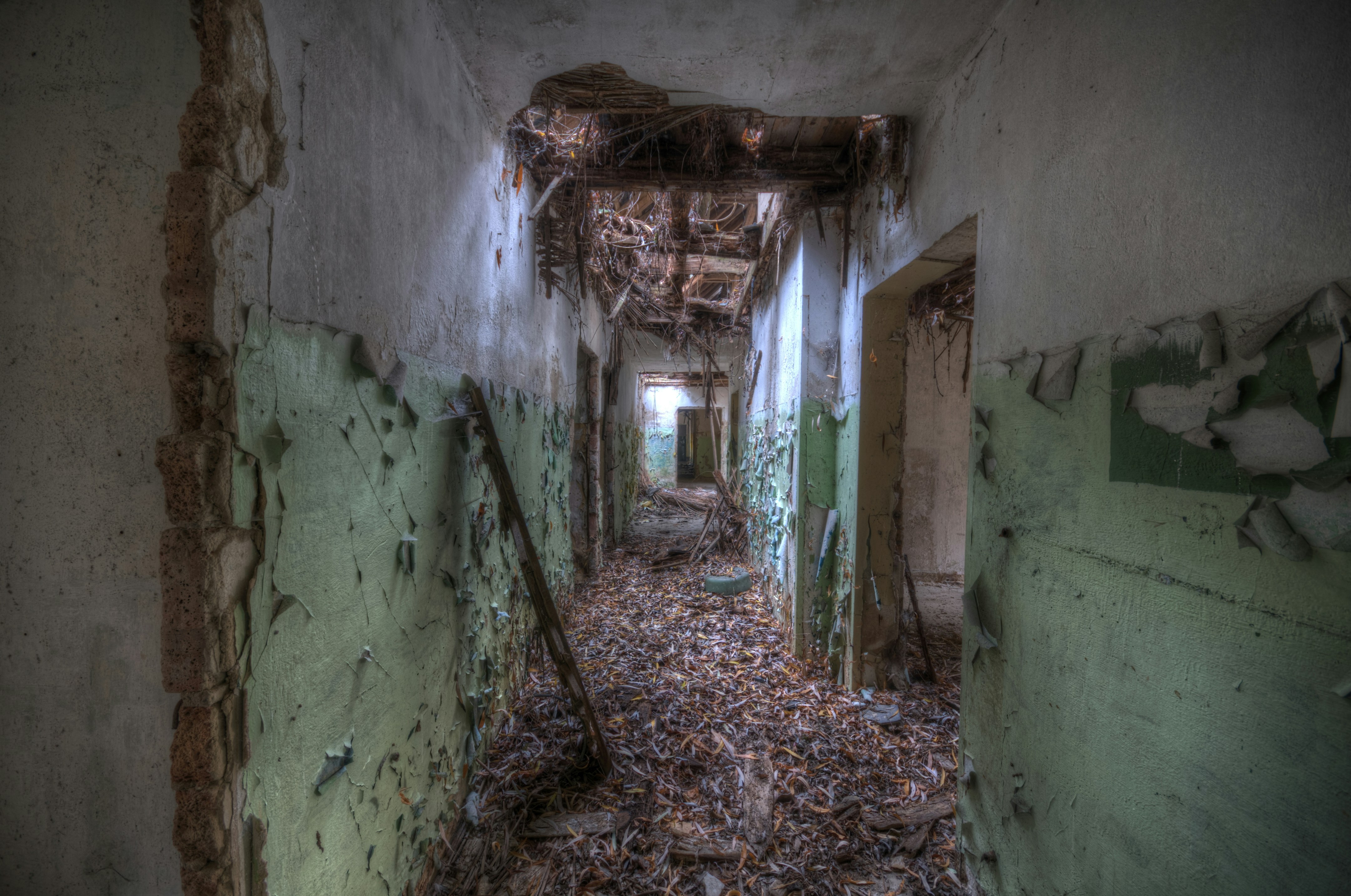 Nathan Wright (@cozmicphotos) | Unsplash Photo Community