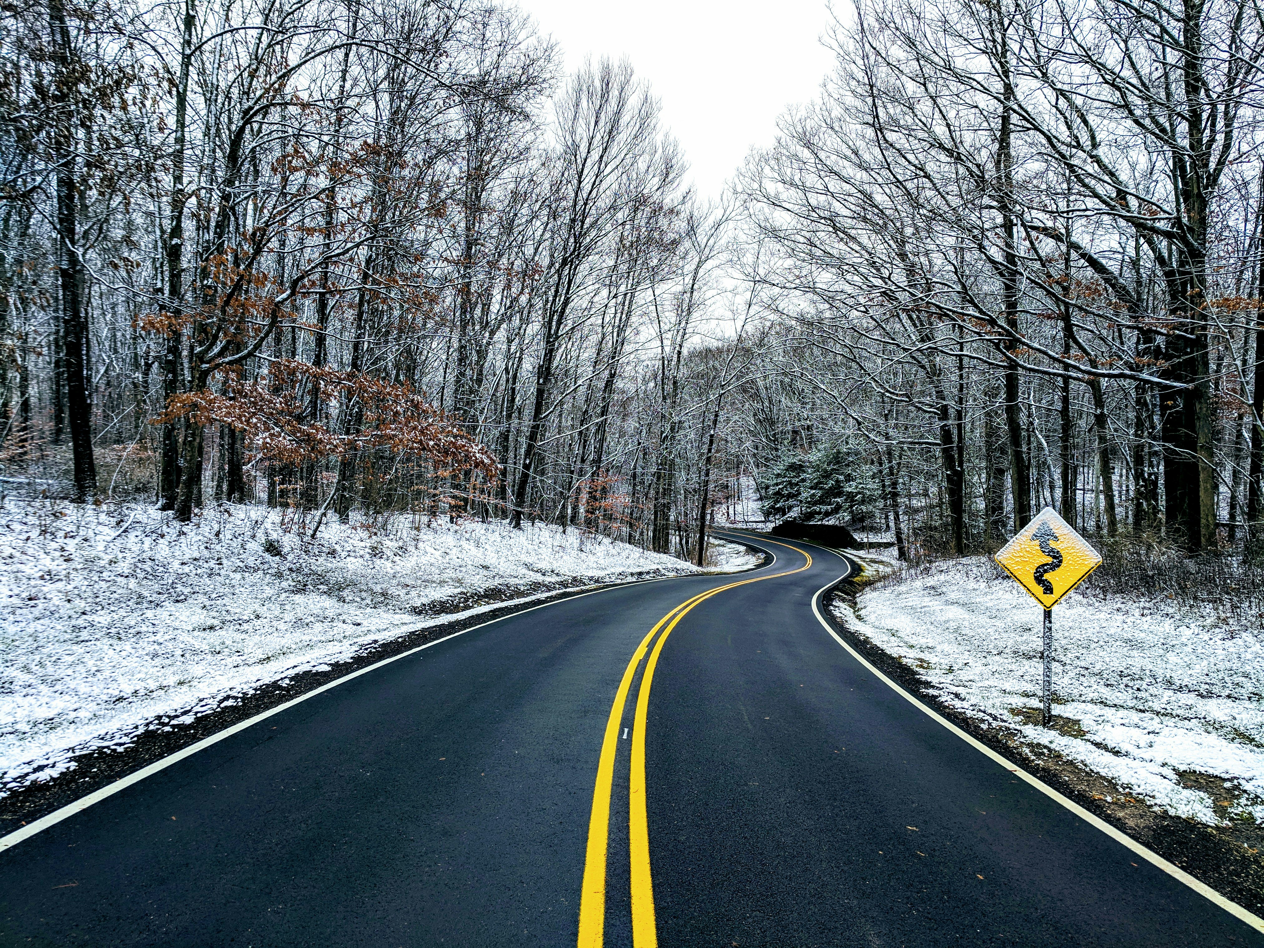 Winding road through snowy forest with bare trees and a curve warning sign.