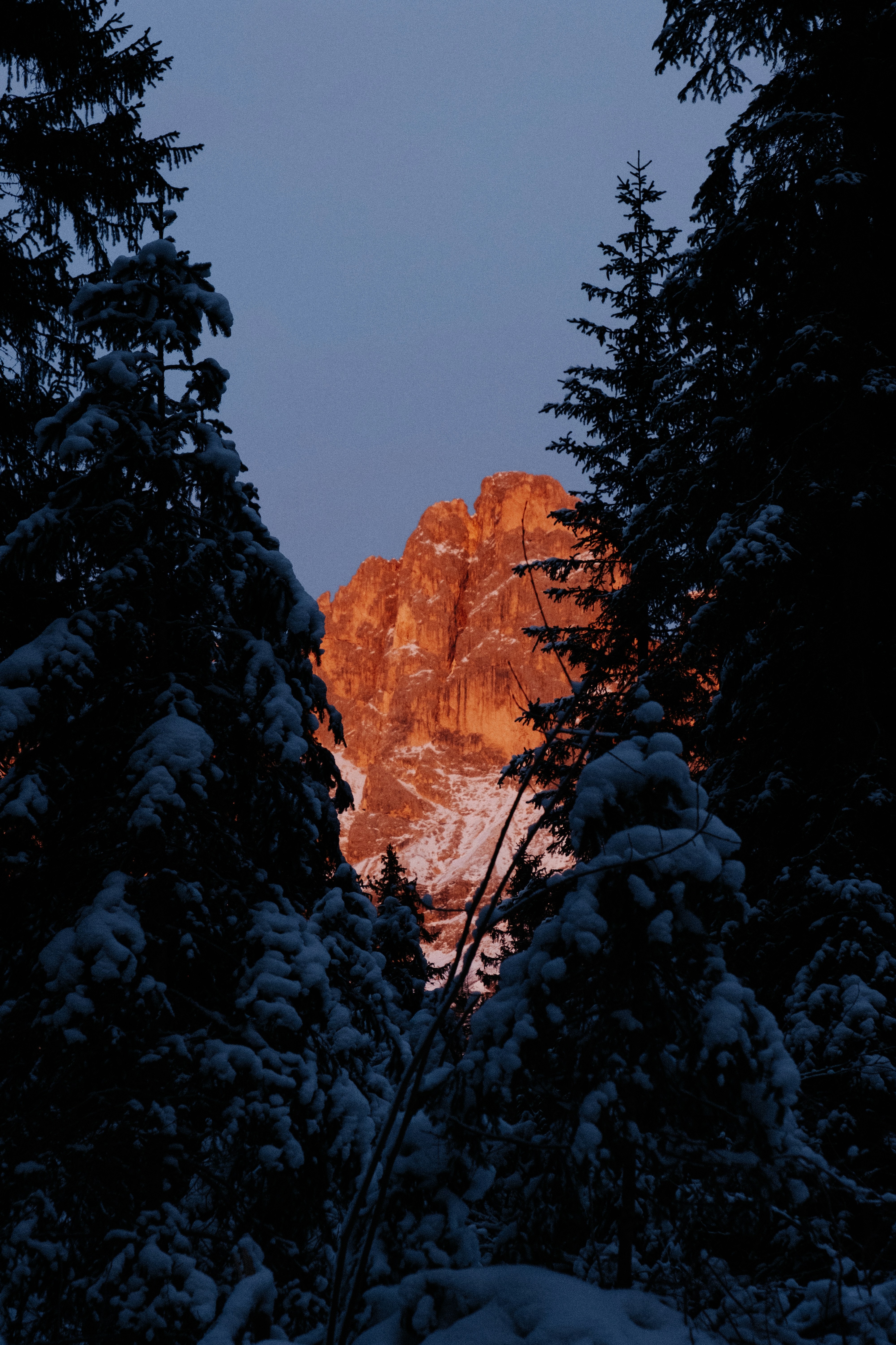 Brown rocky mountain and trees photo – Free Brown Image on Unsplash