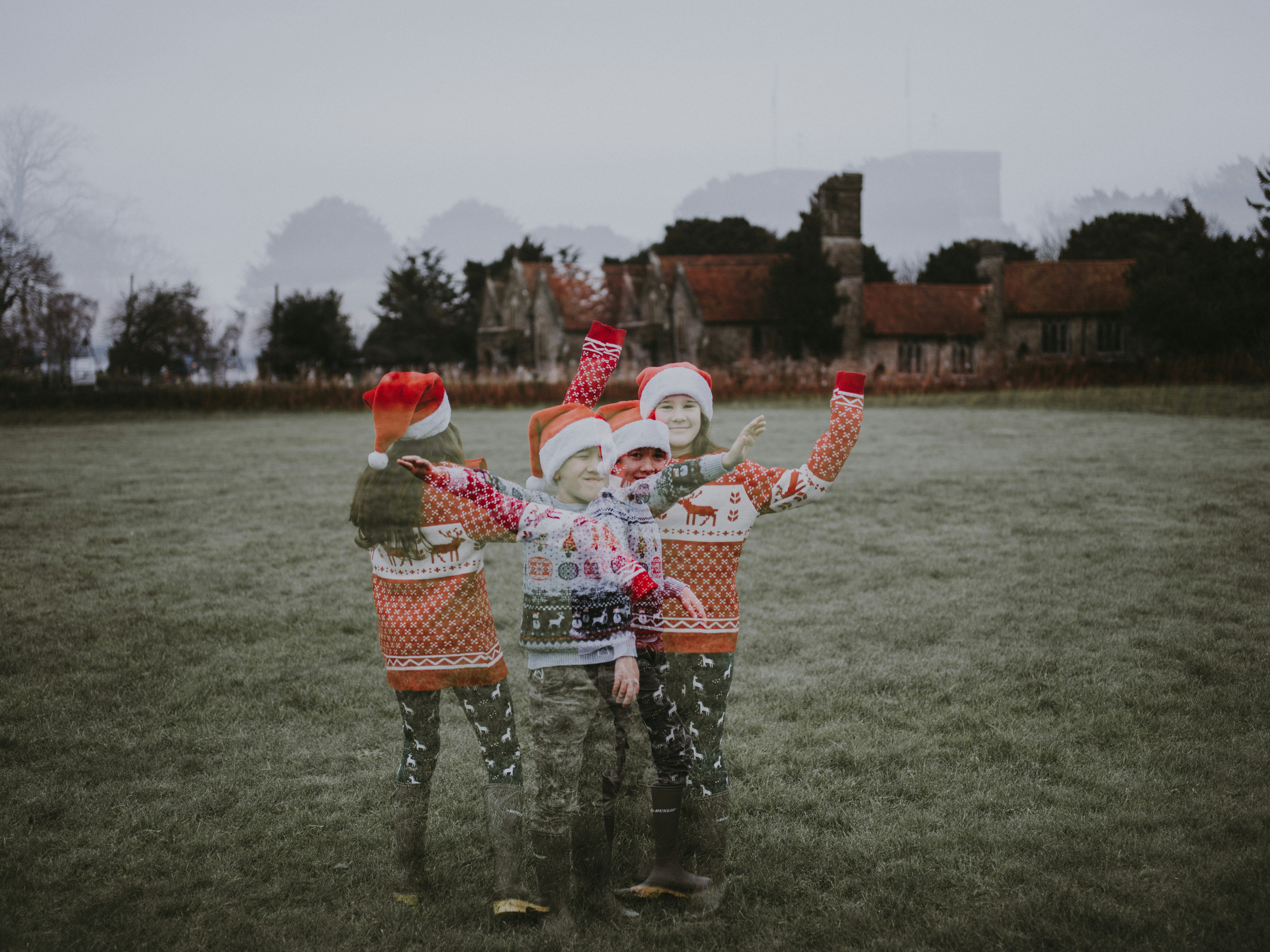 Echoes in the Frost: a trio in a frost-kissed field