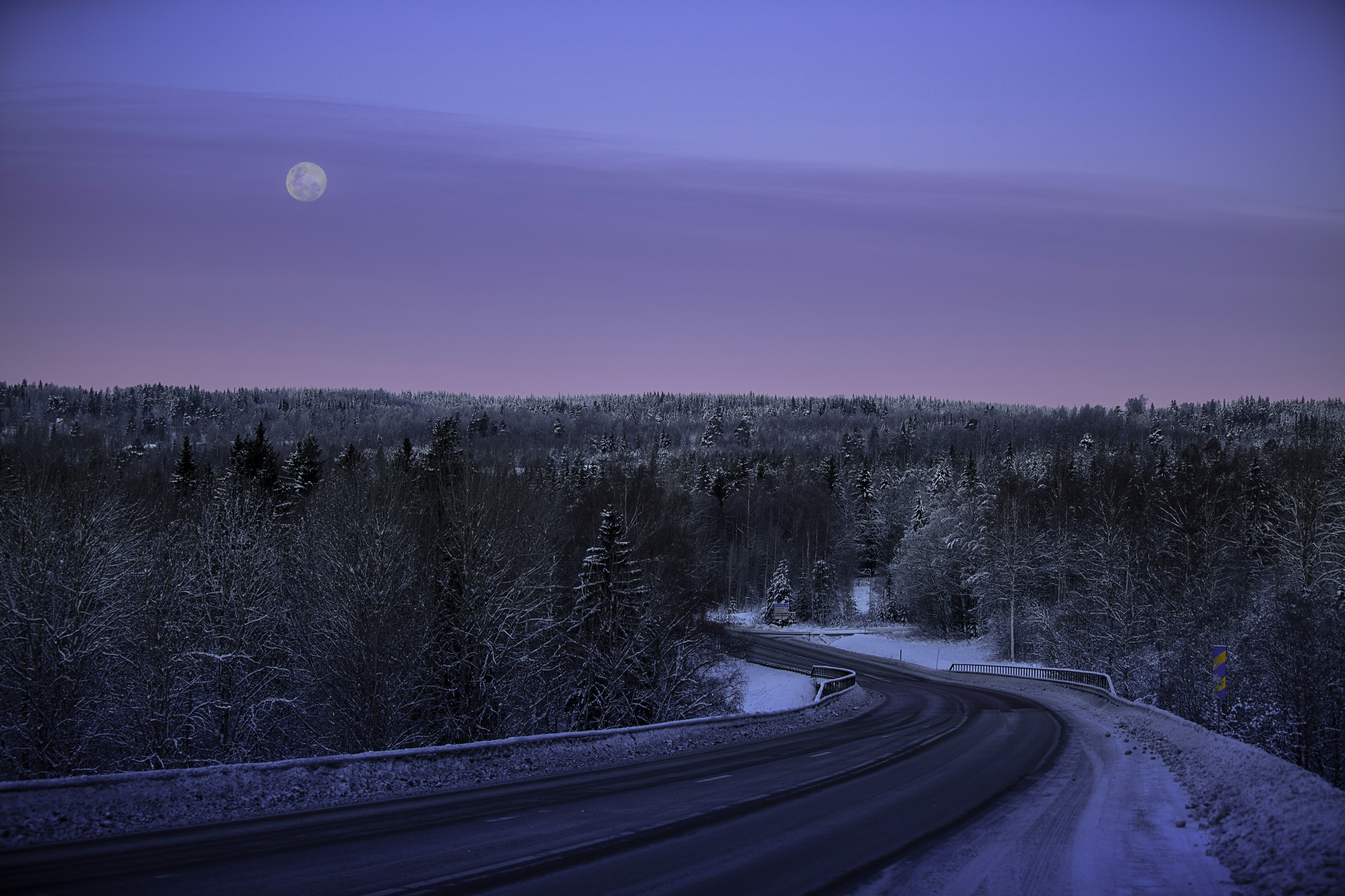 Moonlit Ribbon over a Snowbound Curve Through Silent Pines