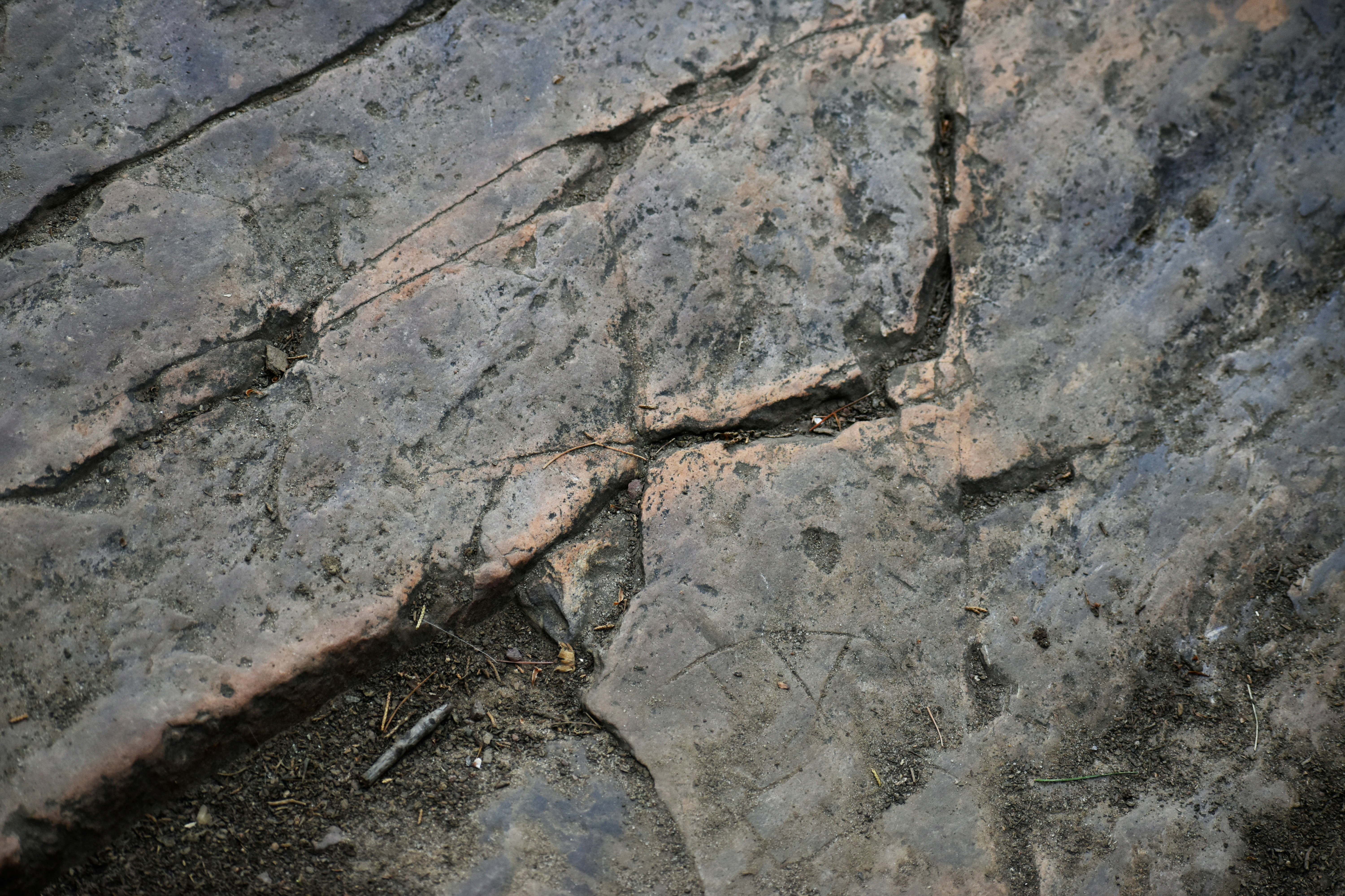 Intricate patterns etched into a weathered rock surface, revealing traces of history and nature's artistry.