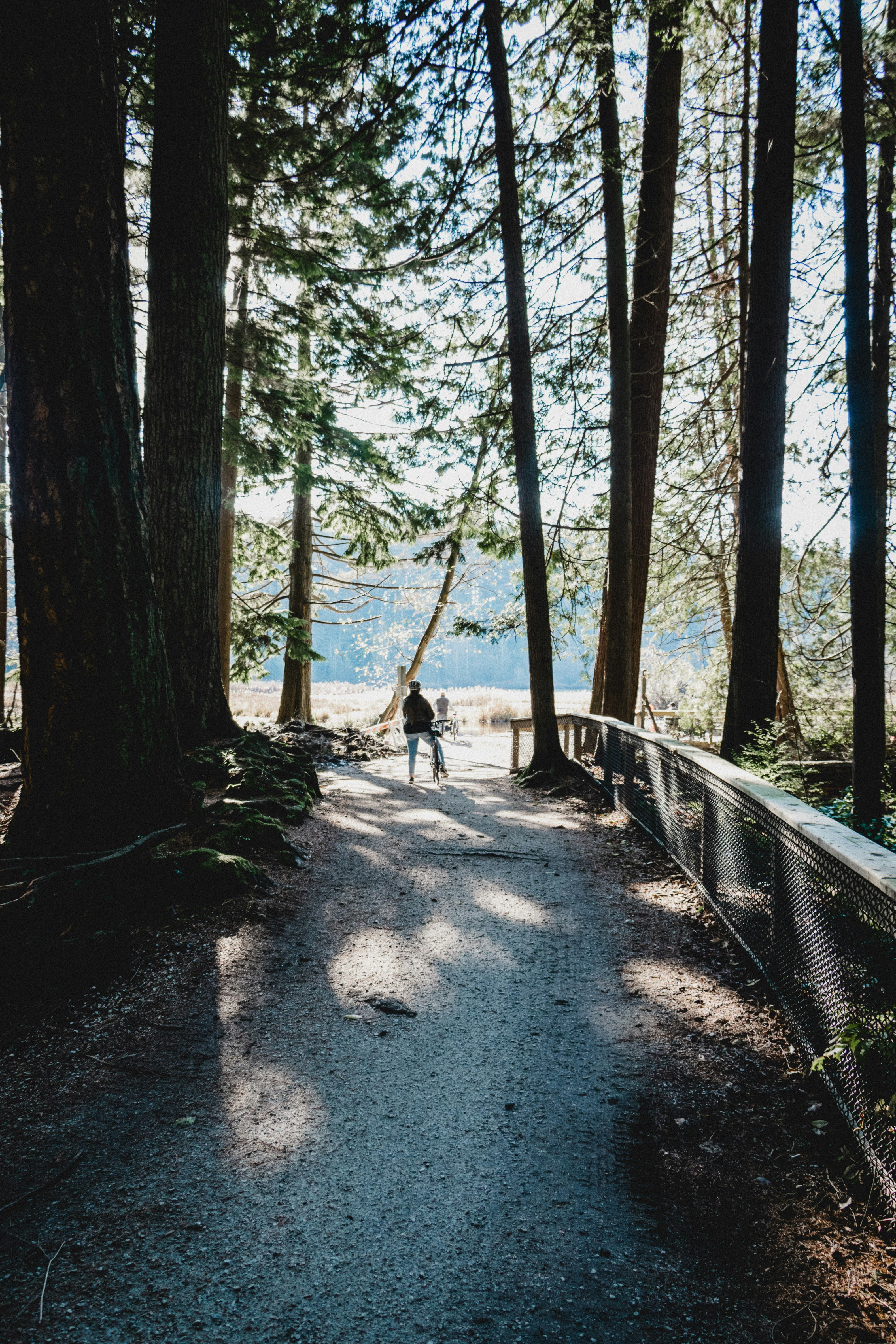 Person walking along pathway photo – Free Grey Image on Unsplash
