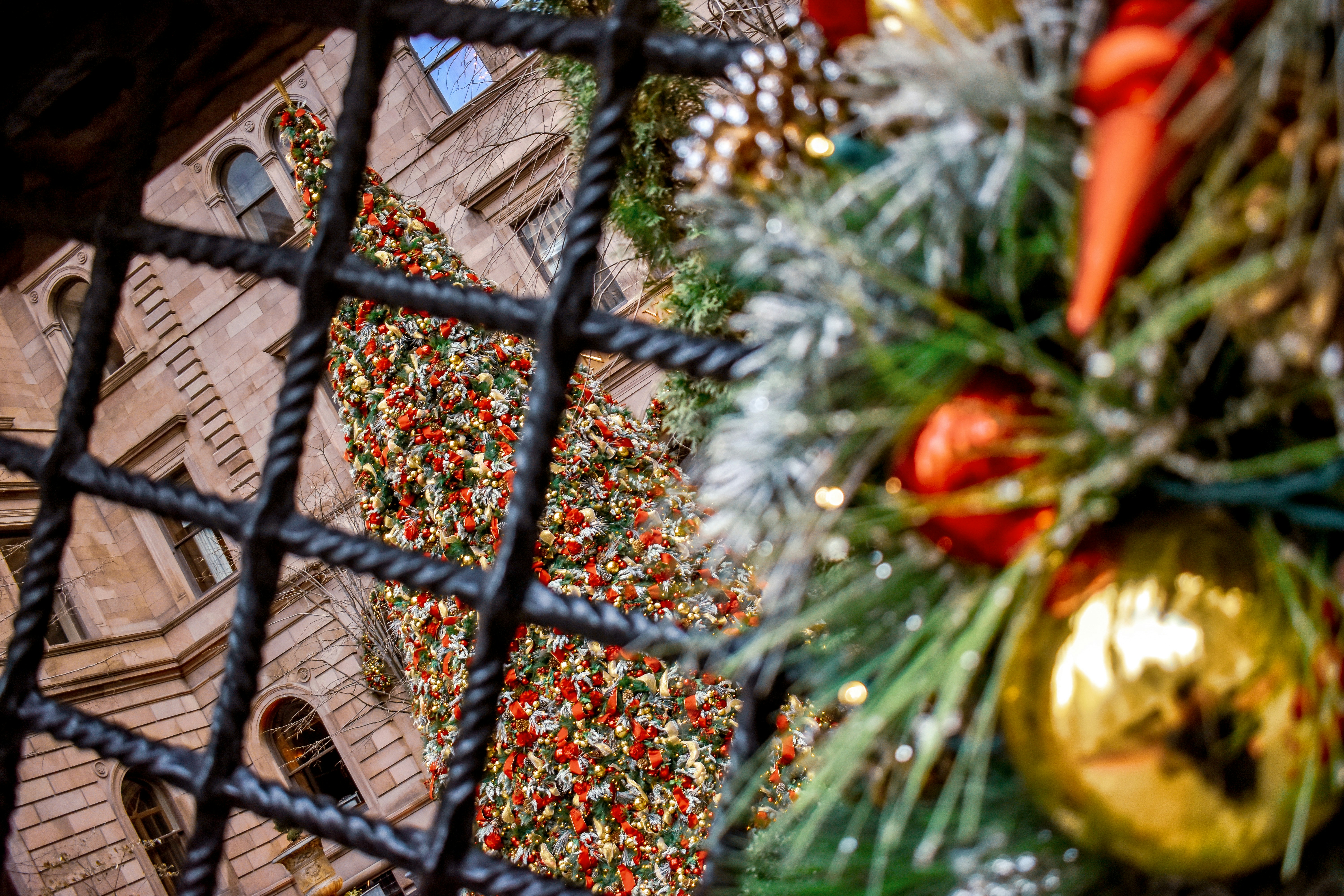 Festive Glow Through the Iron Grid: A Christmas Tree Beyond the Lattice