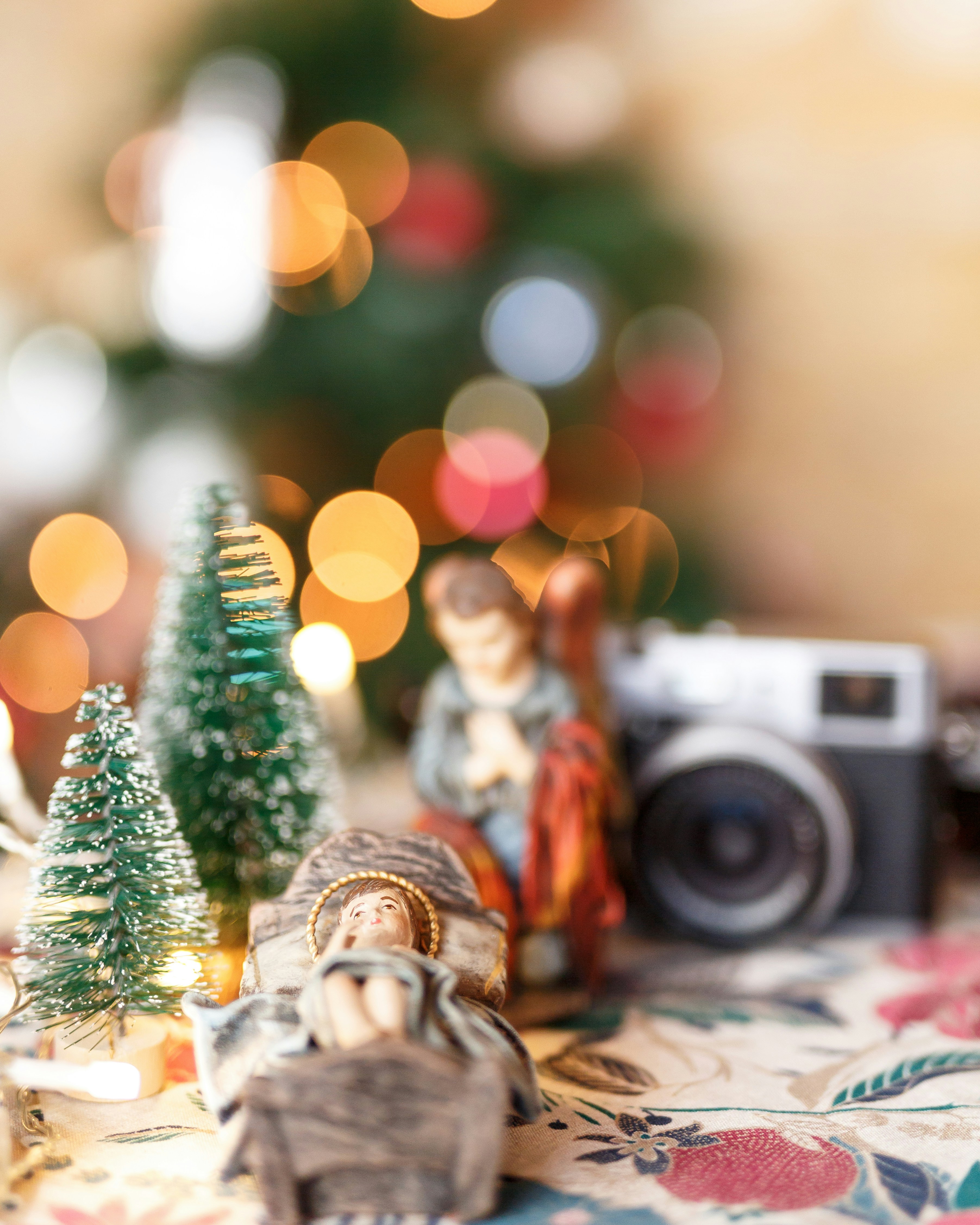 Selective focus photography of The Nativity photo – Free Plant Image on ...