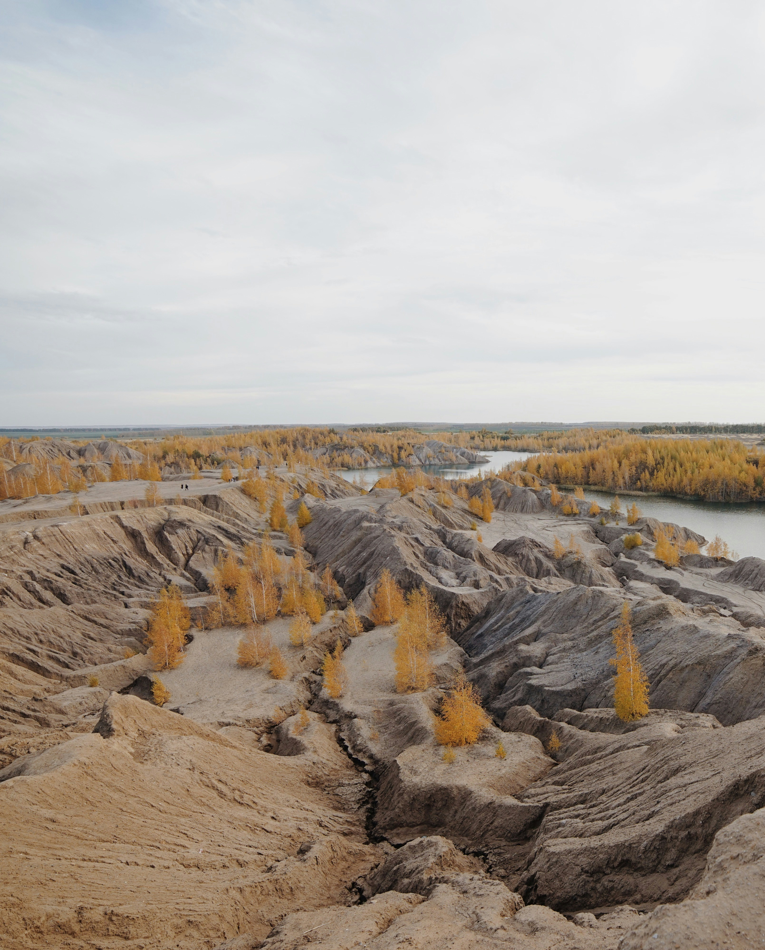 Autumn Ridges: Golden Trees Among Eroded Clay