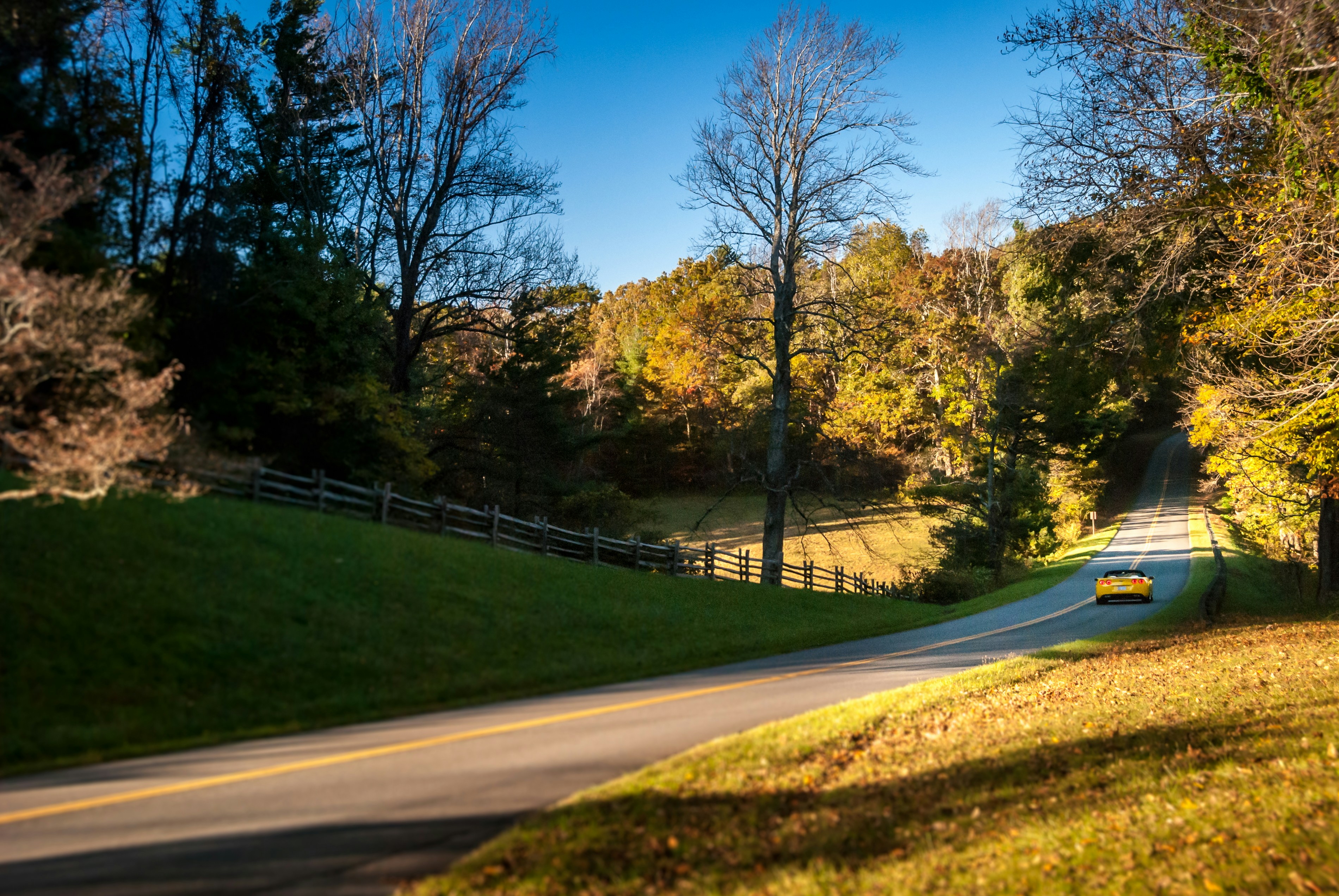 Autumn Roadway: A Quiet Drive Through Golden Light