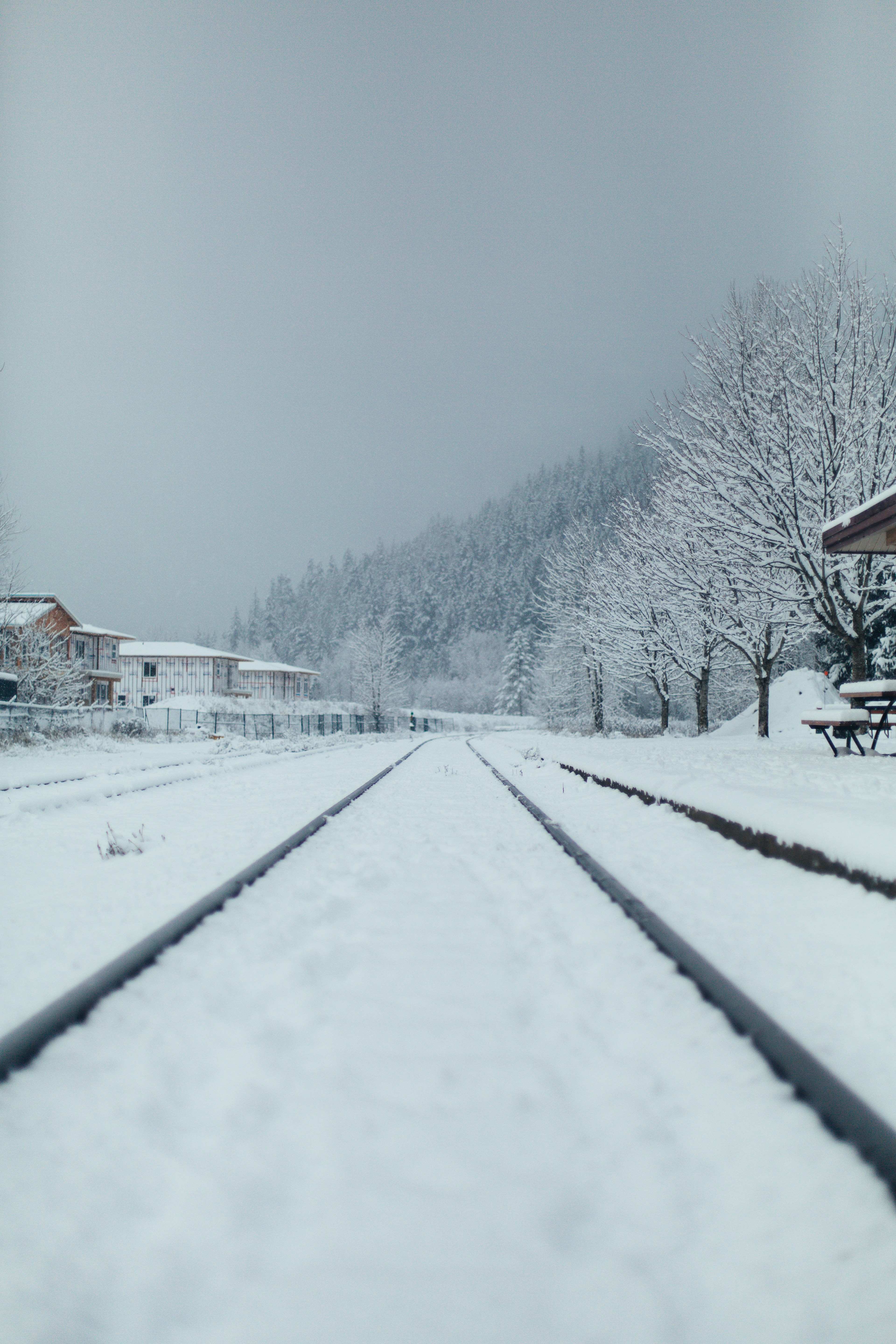 Snow-covered railway tracks leading into a misty forest, flanked by frosted trees and quaint buildings. A serene winter landscape unfolds.