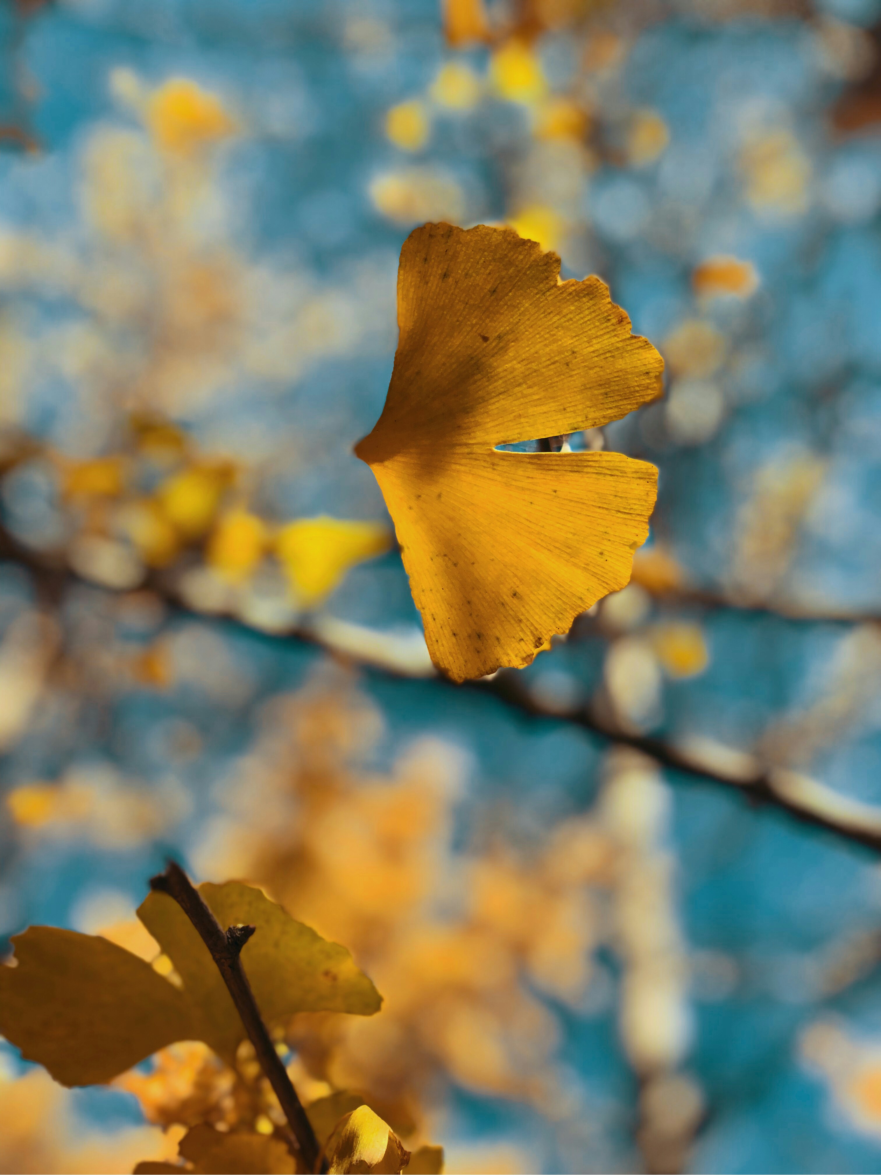 demi huang (@demi333333) | Komunitas Foto Unsplash