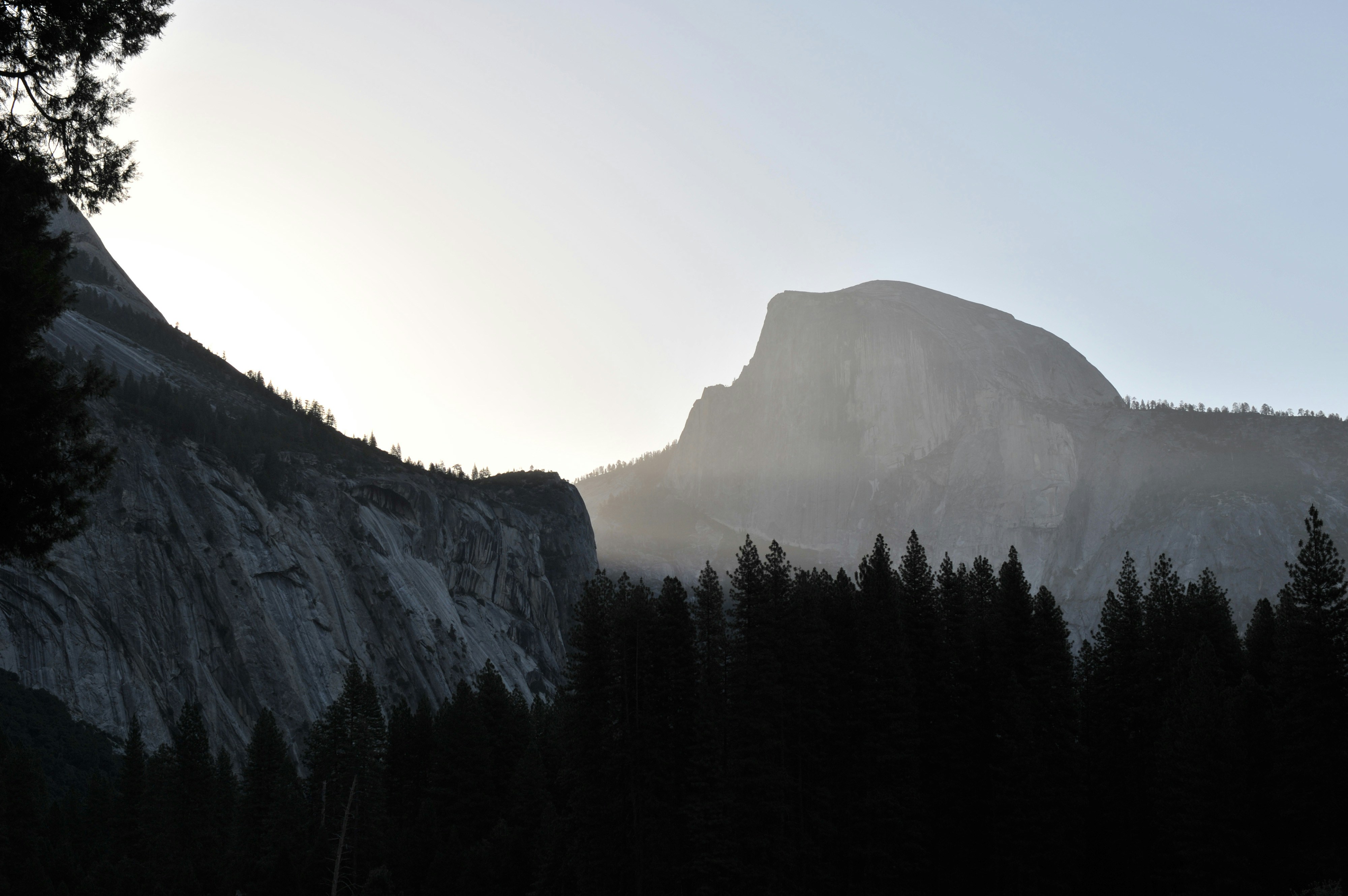 Granite mountain peak shrouded in mist, framed by dark silhouettes of towering pine trees. Soft light filters through the haze, creating a serene atmosphere.