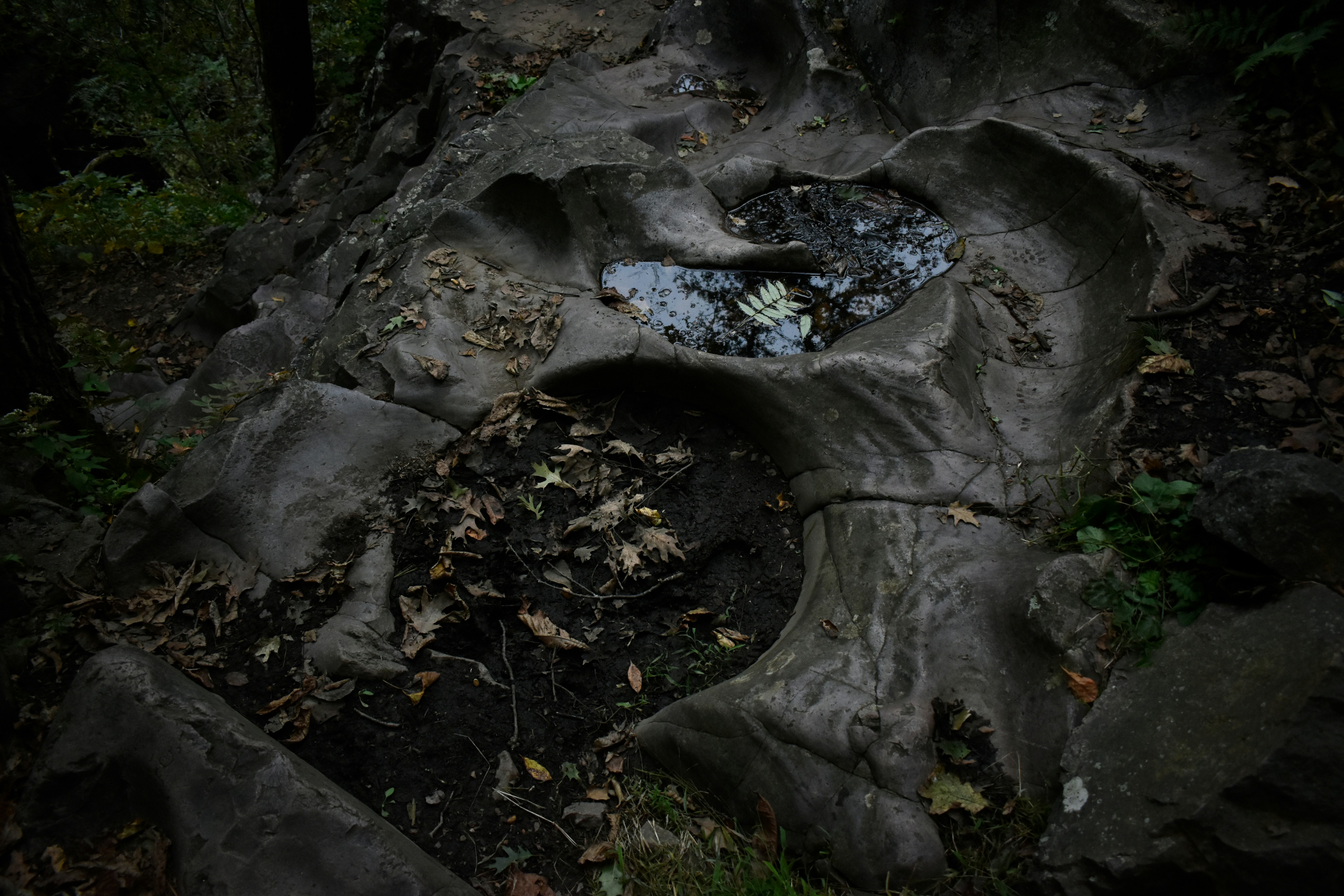 Nature's Sculpted Canvas