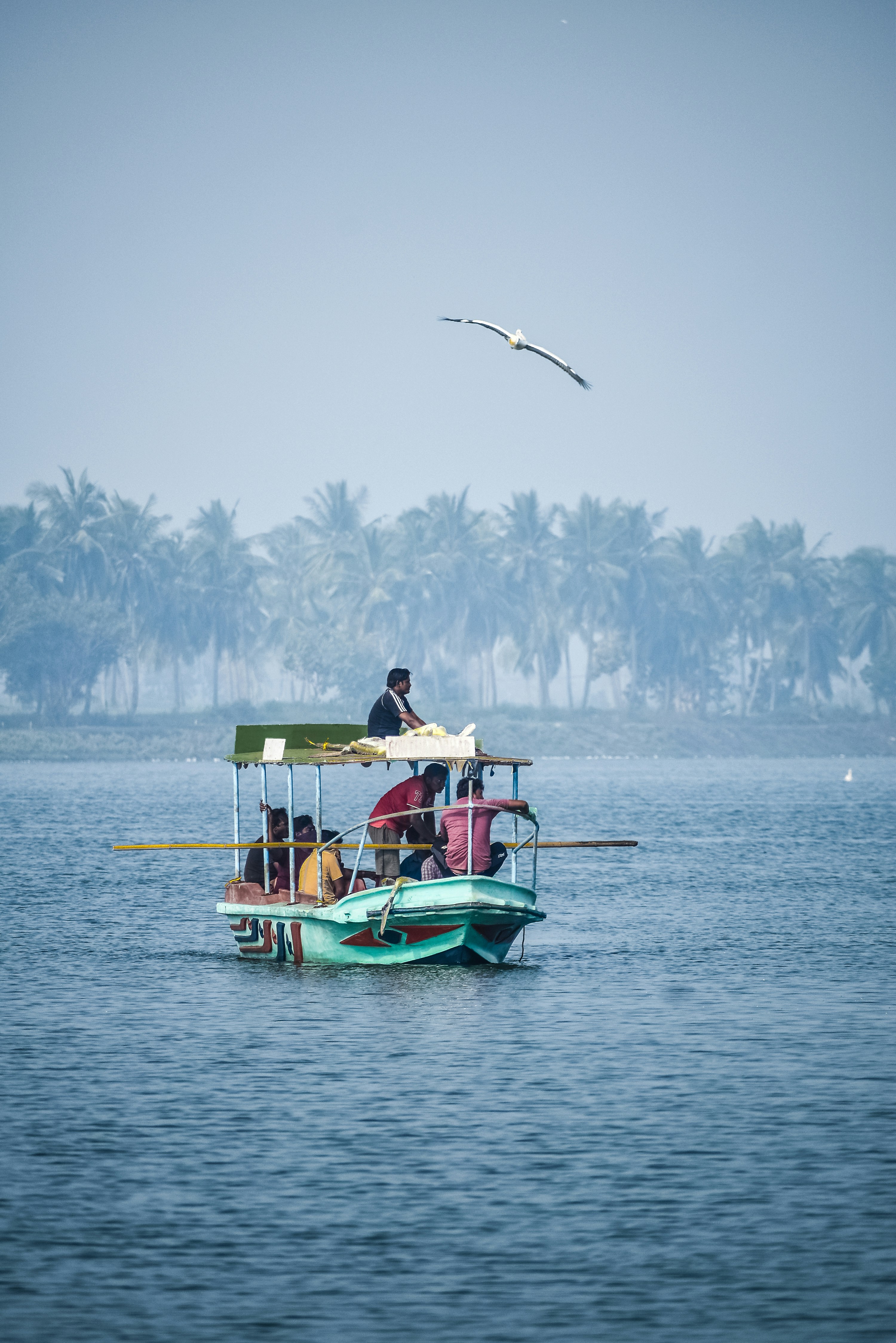 Boat Parade at Dusk: A Silhouette of Life on a Quiet Bay