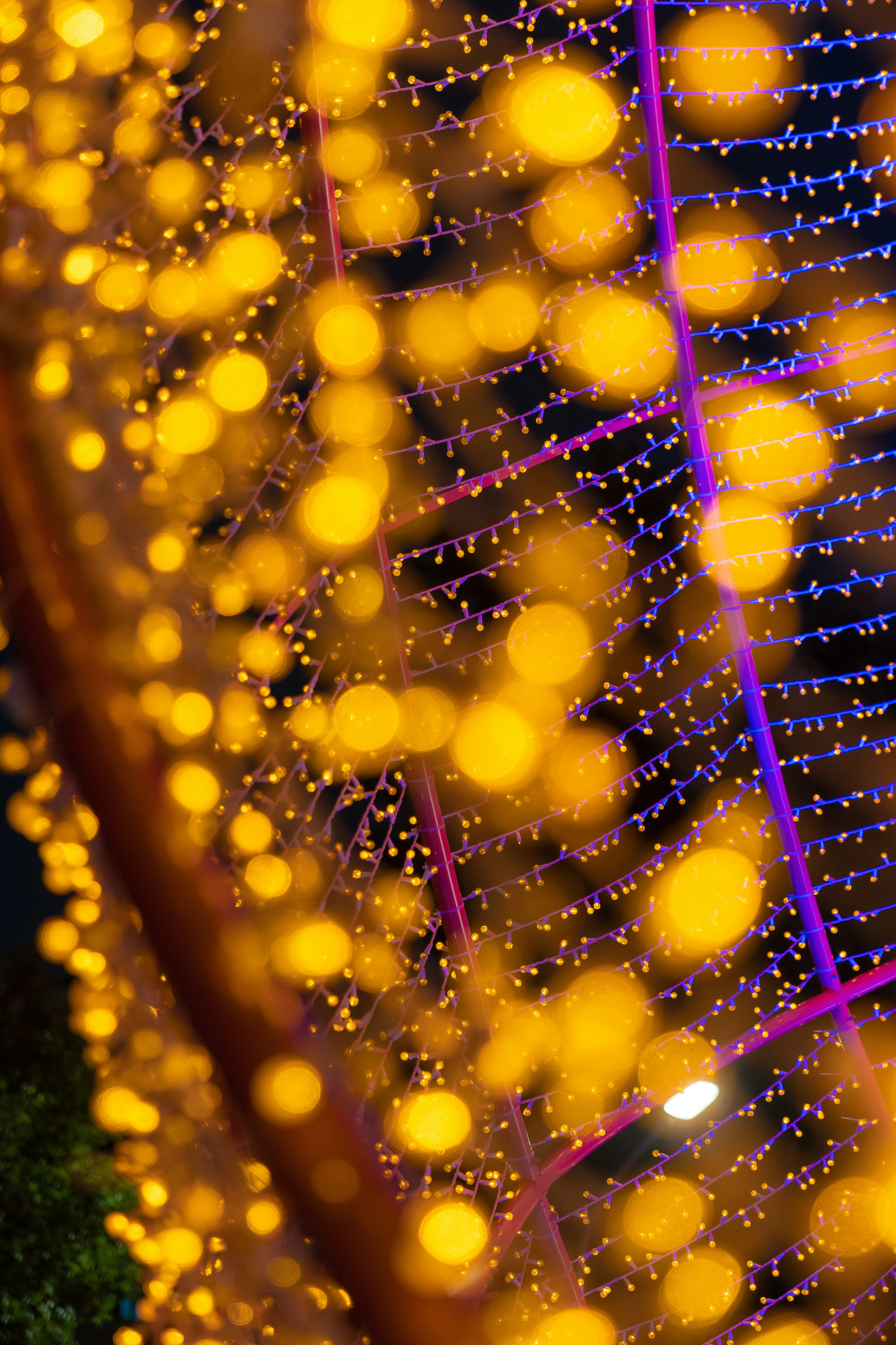 Amber string lights photo – Free Taipei Image on Unsplash