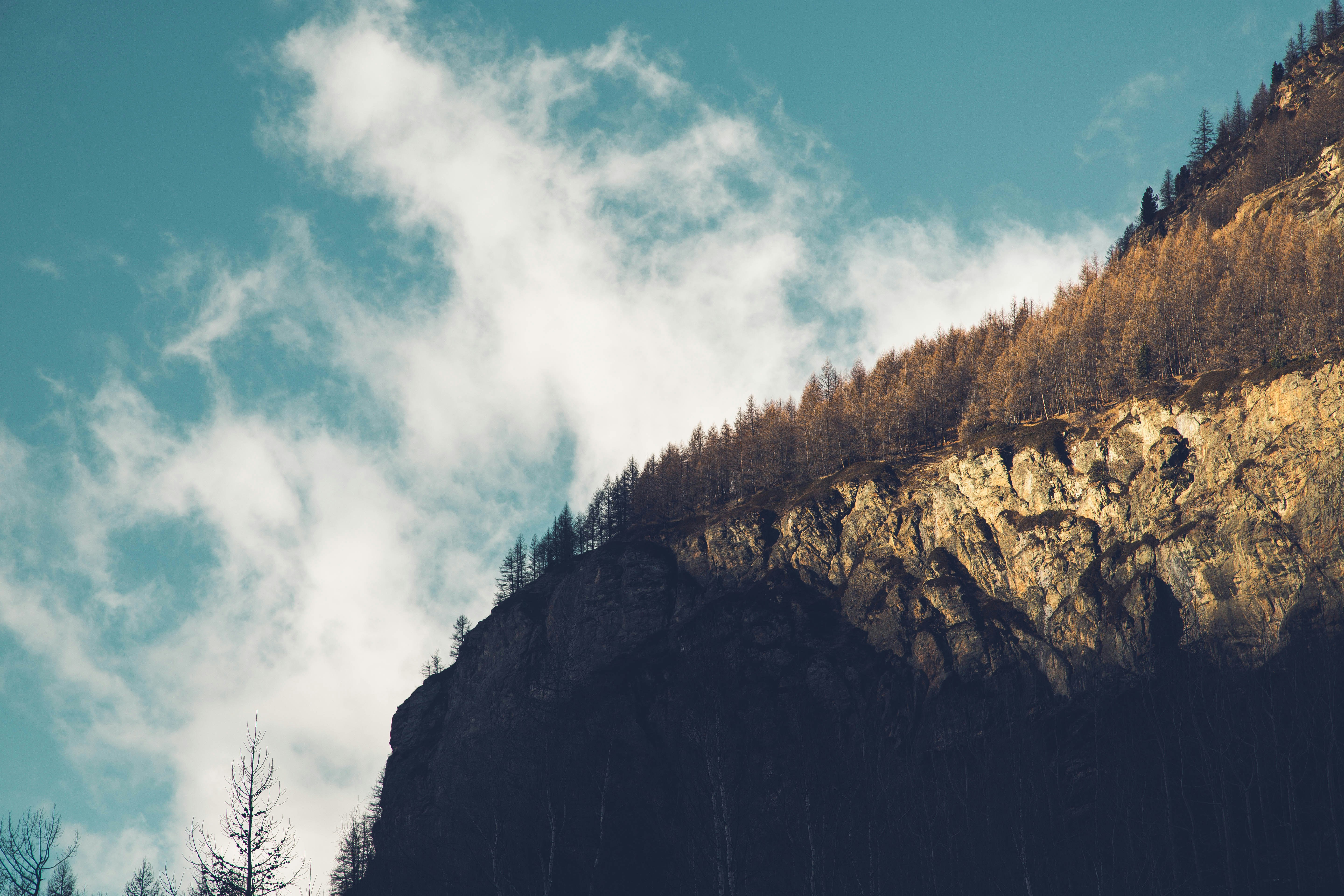 Inverno Nel Deserto Photos | Télécharger des images gratuites sur Unsplash