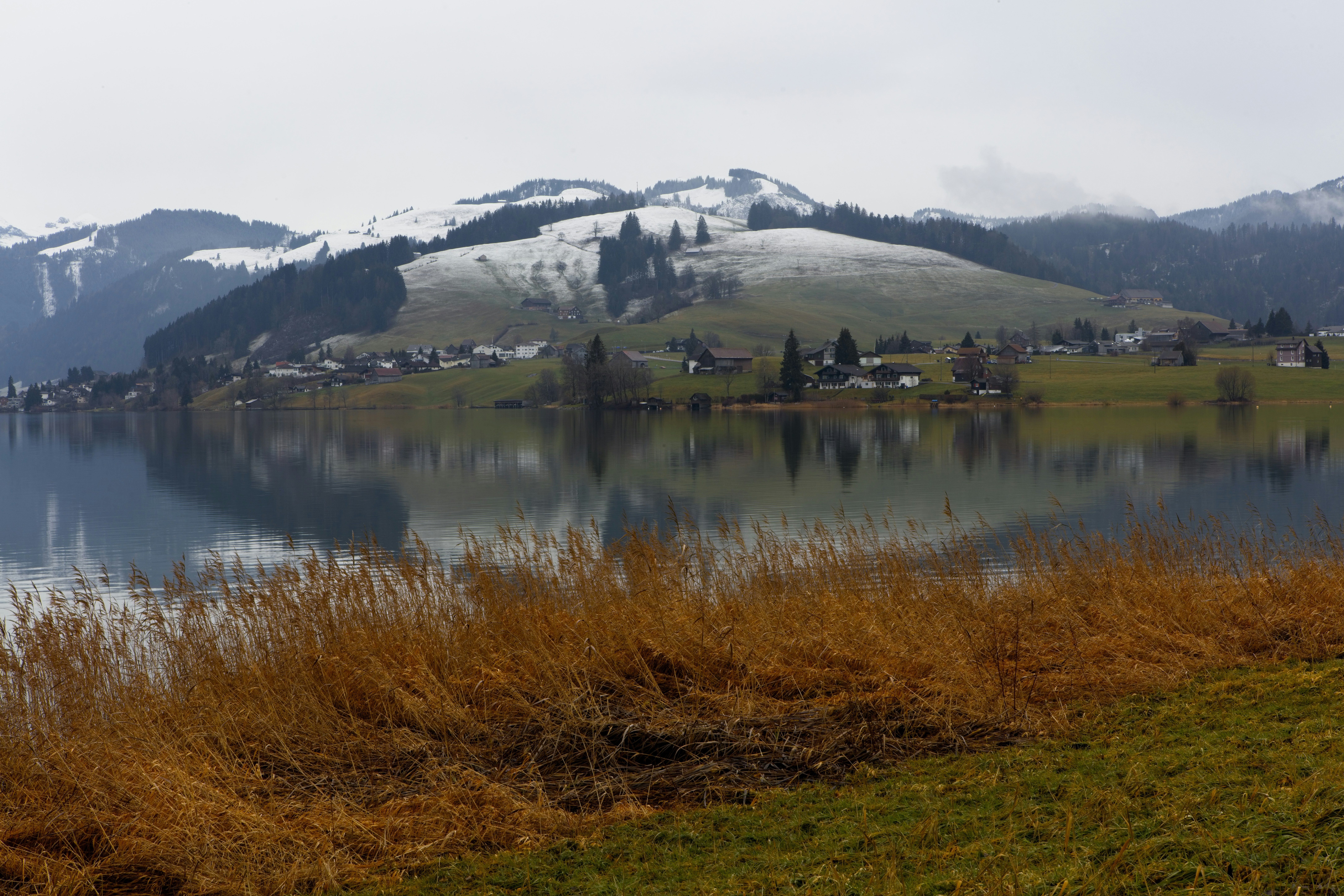 Snow-capped hills reflect in a serene lake, framed by golden grasses and a peaceful village. The scene embodies the calm beauty of nature.