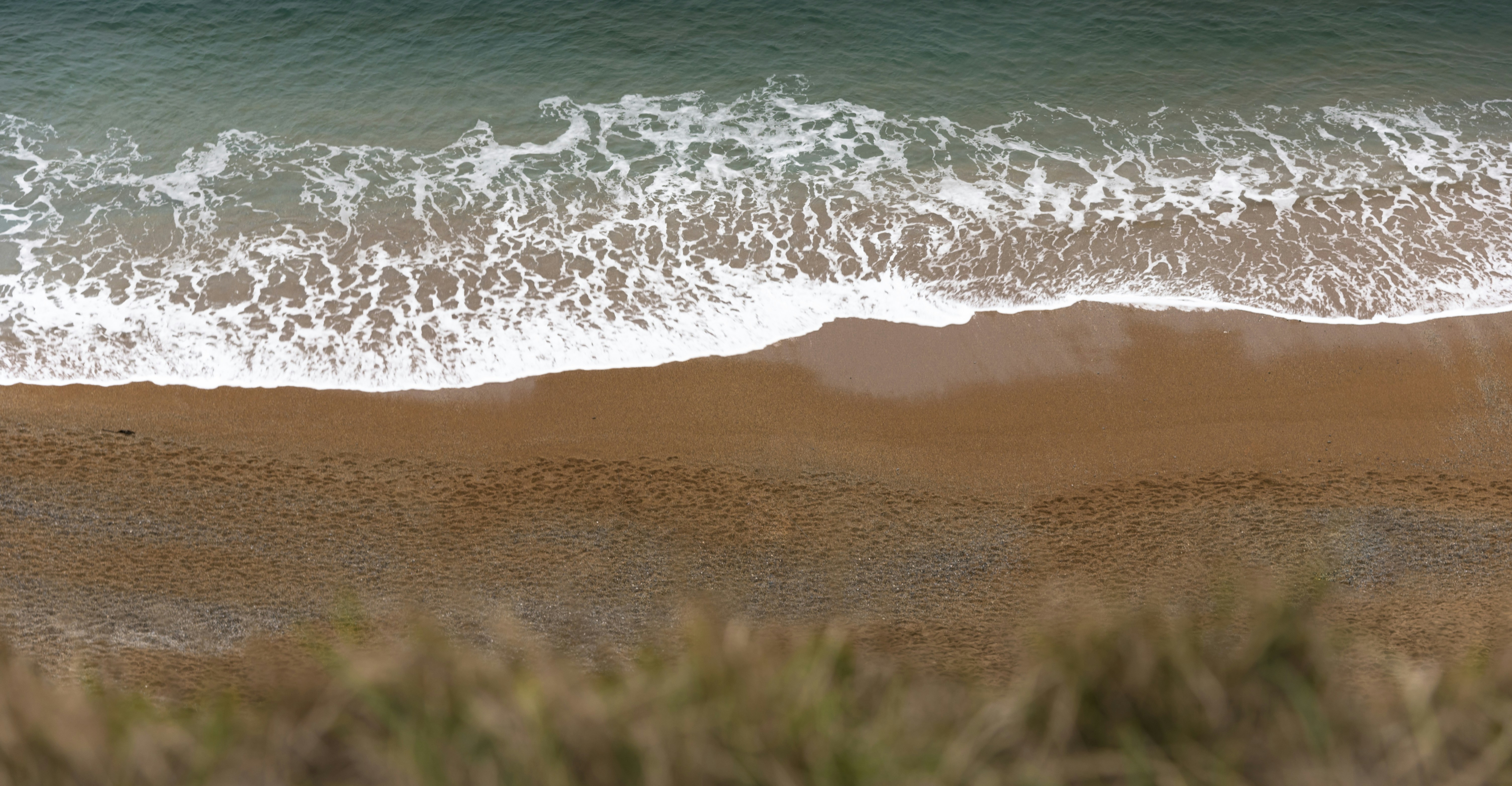 Gentle waves lapping at a sandy beach, framed by lush greenery above. The scene captures the tranquil essence of coastal life.