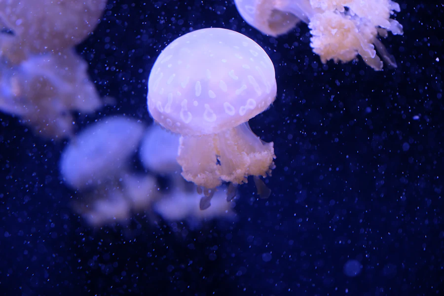 A pale jellyfish floats against a dark blue aquarium background, with other blurred jellyfish surrounding it. Tiny particles sparkle throughout the water.
