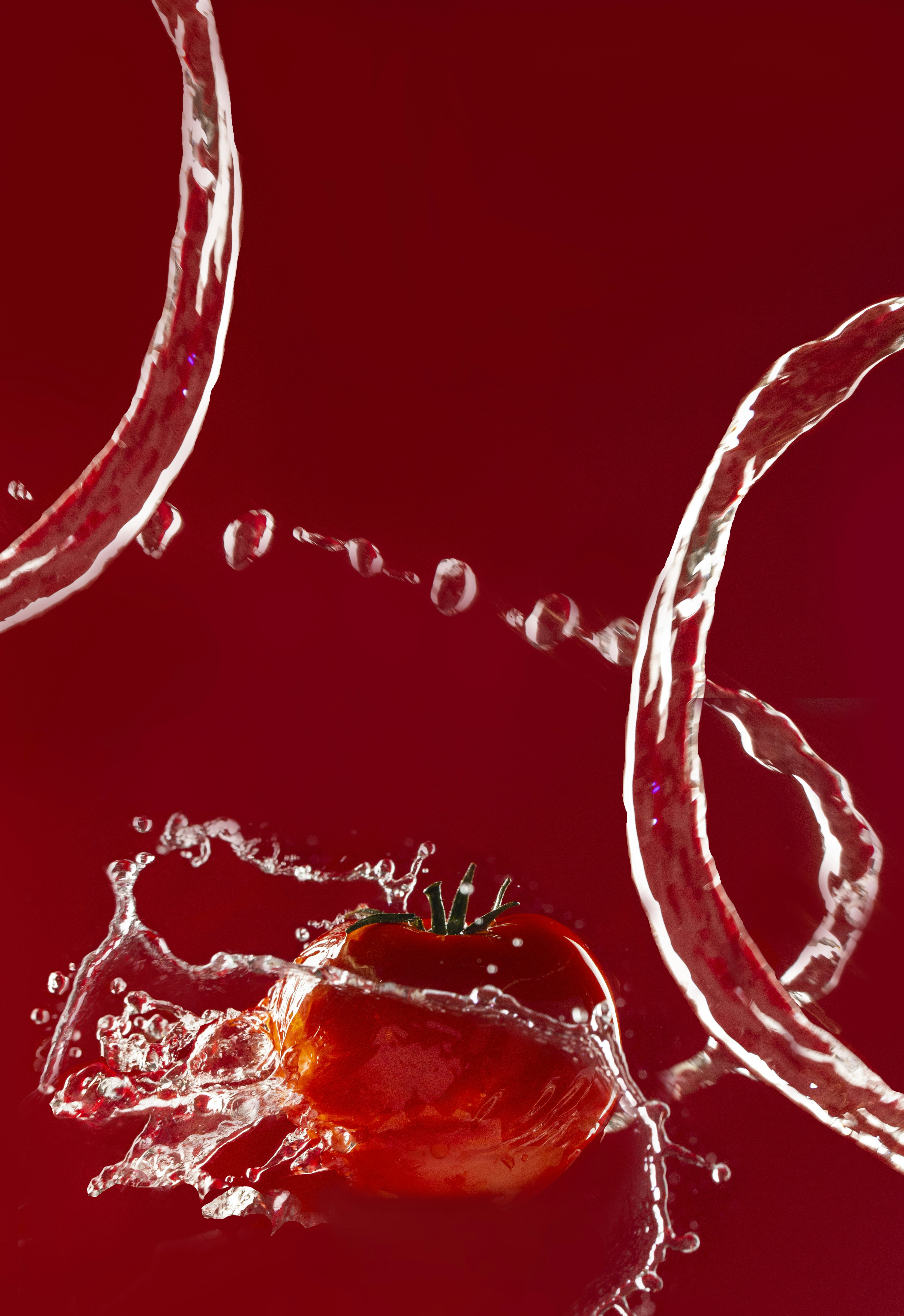 Tomato photo photo – Free Plant Image on Unsplash