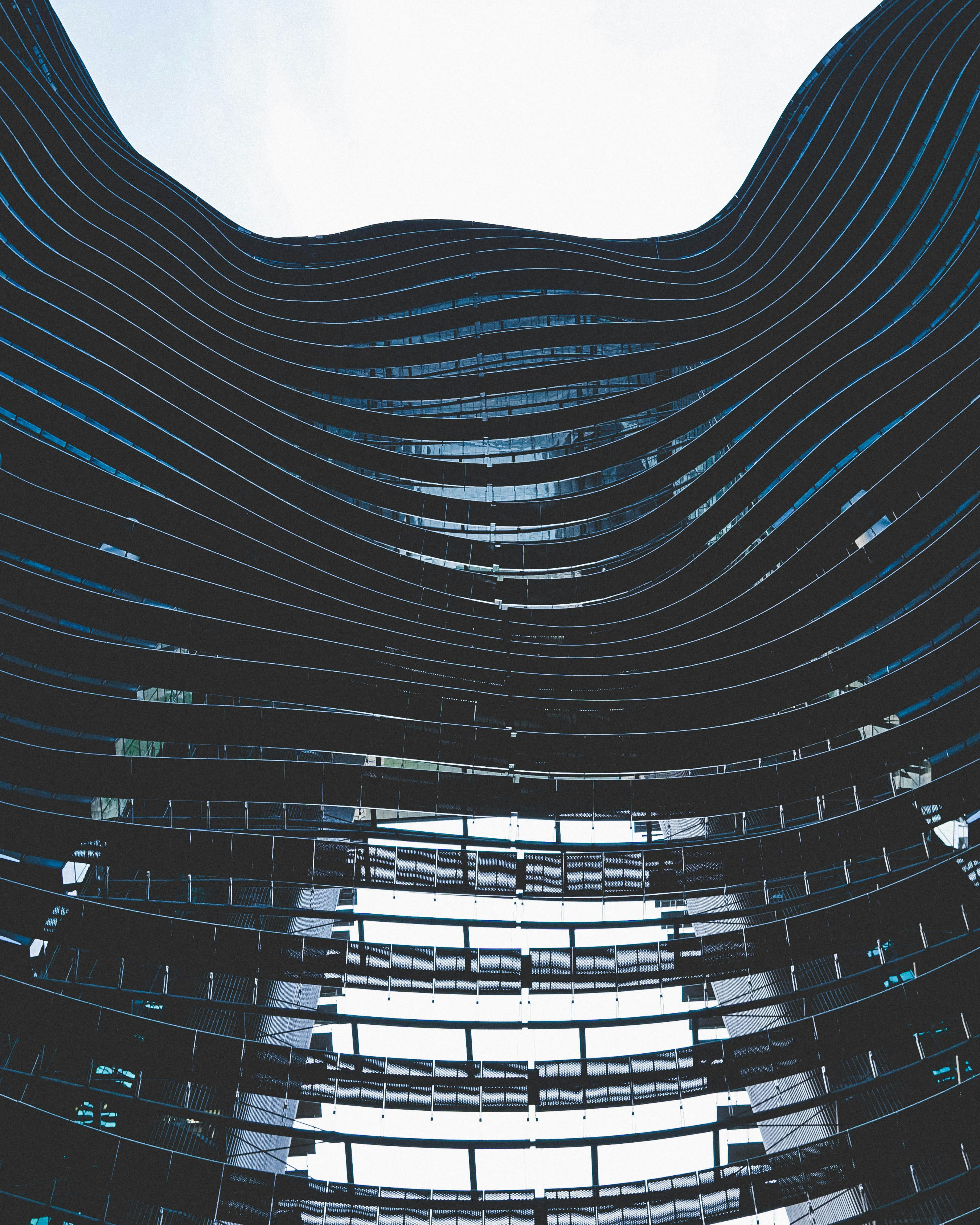 Sinuous Glass: Waves of Steel Framing a Skyward Atrium