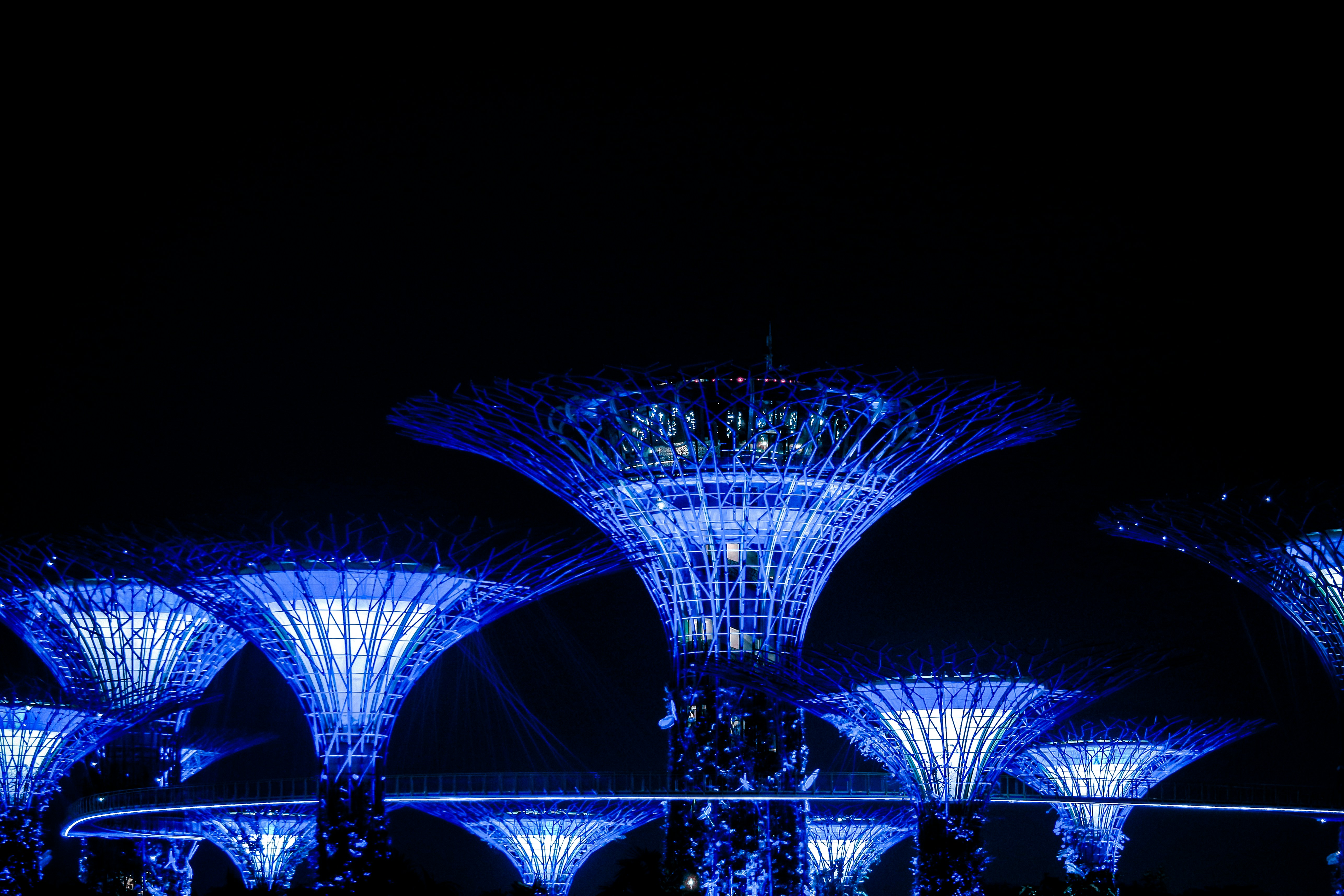 Blue lighted buildings during nighttime photo – Free Singapore Image on ...