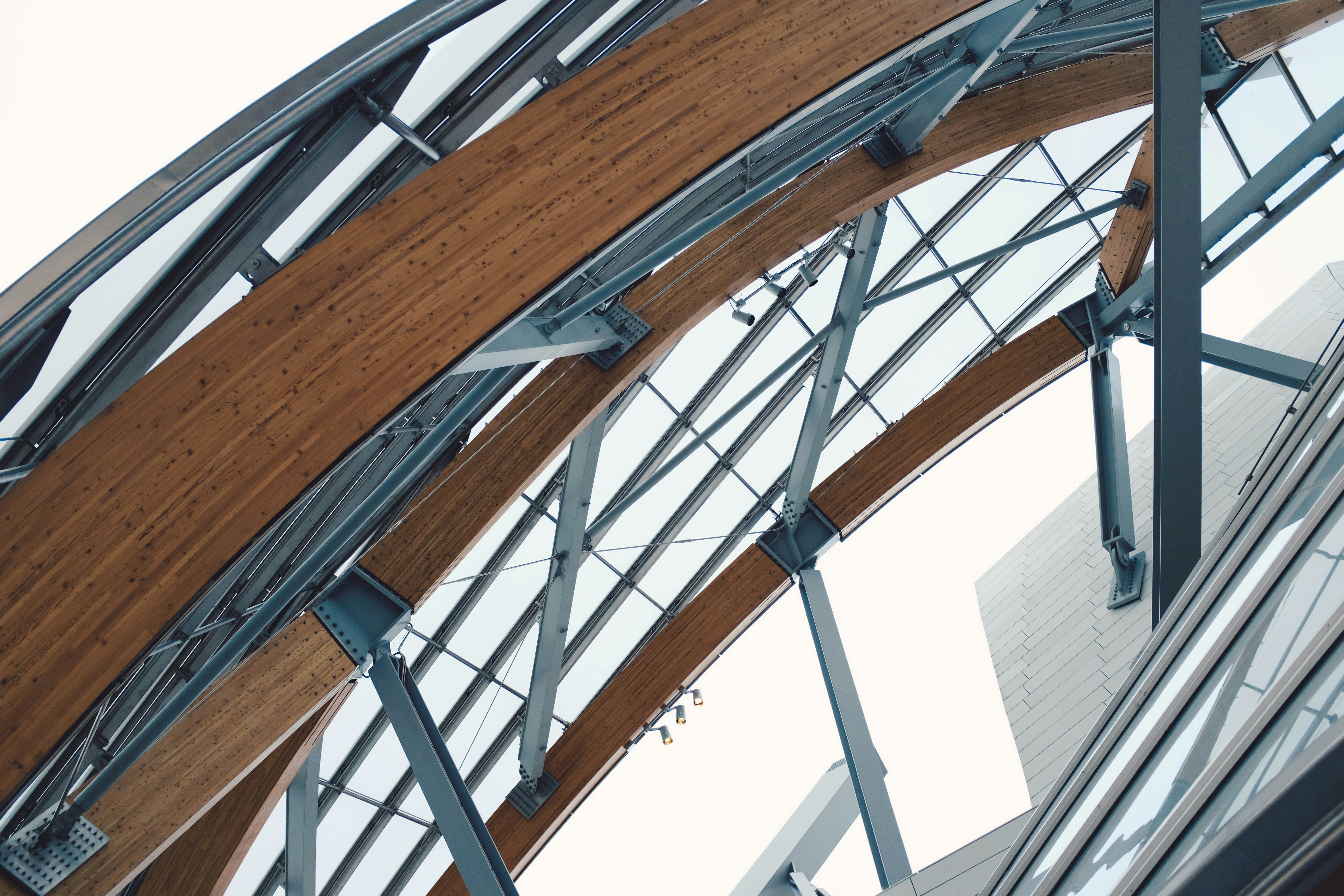 Timber Ribs Meet Steel Arches: A Skyward Lattice