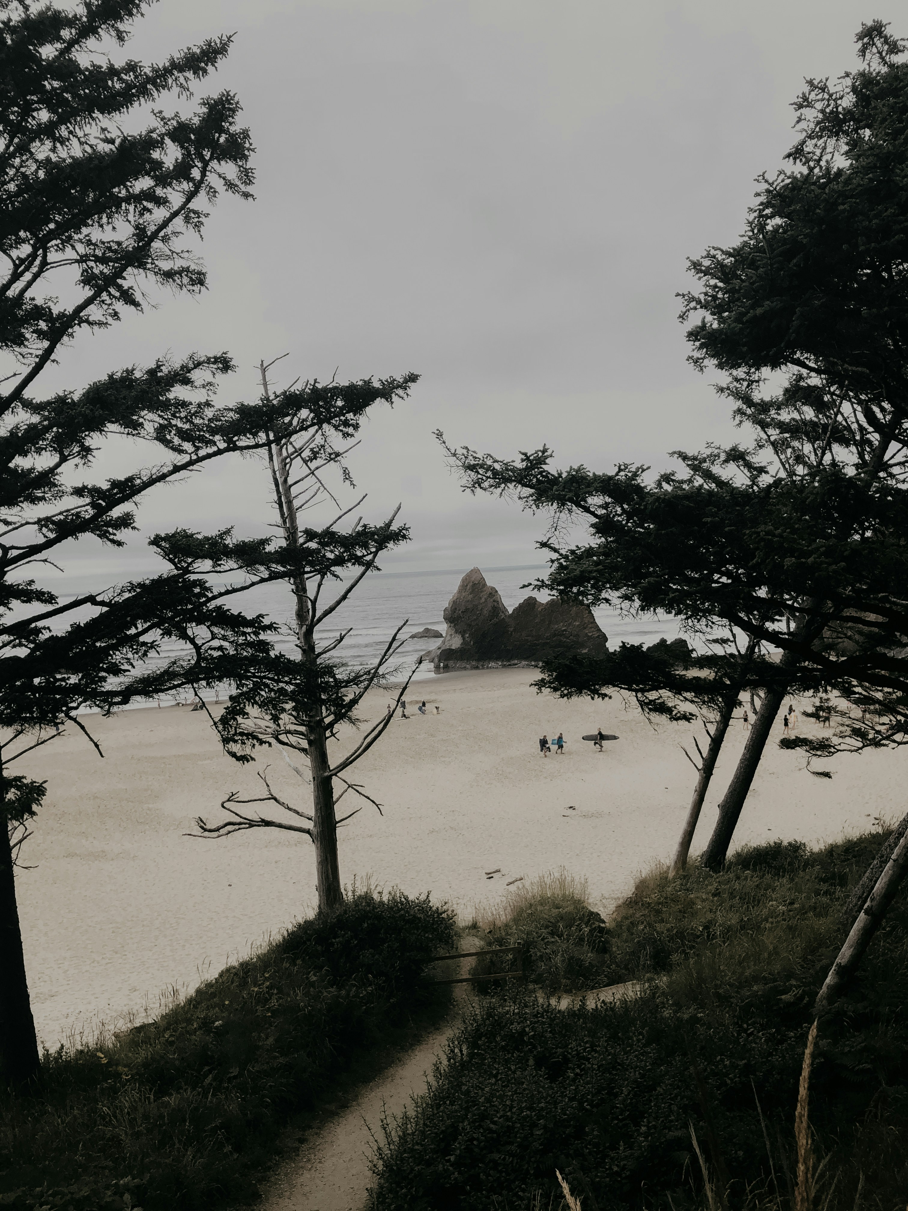 seashore
