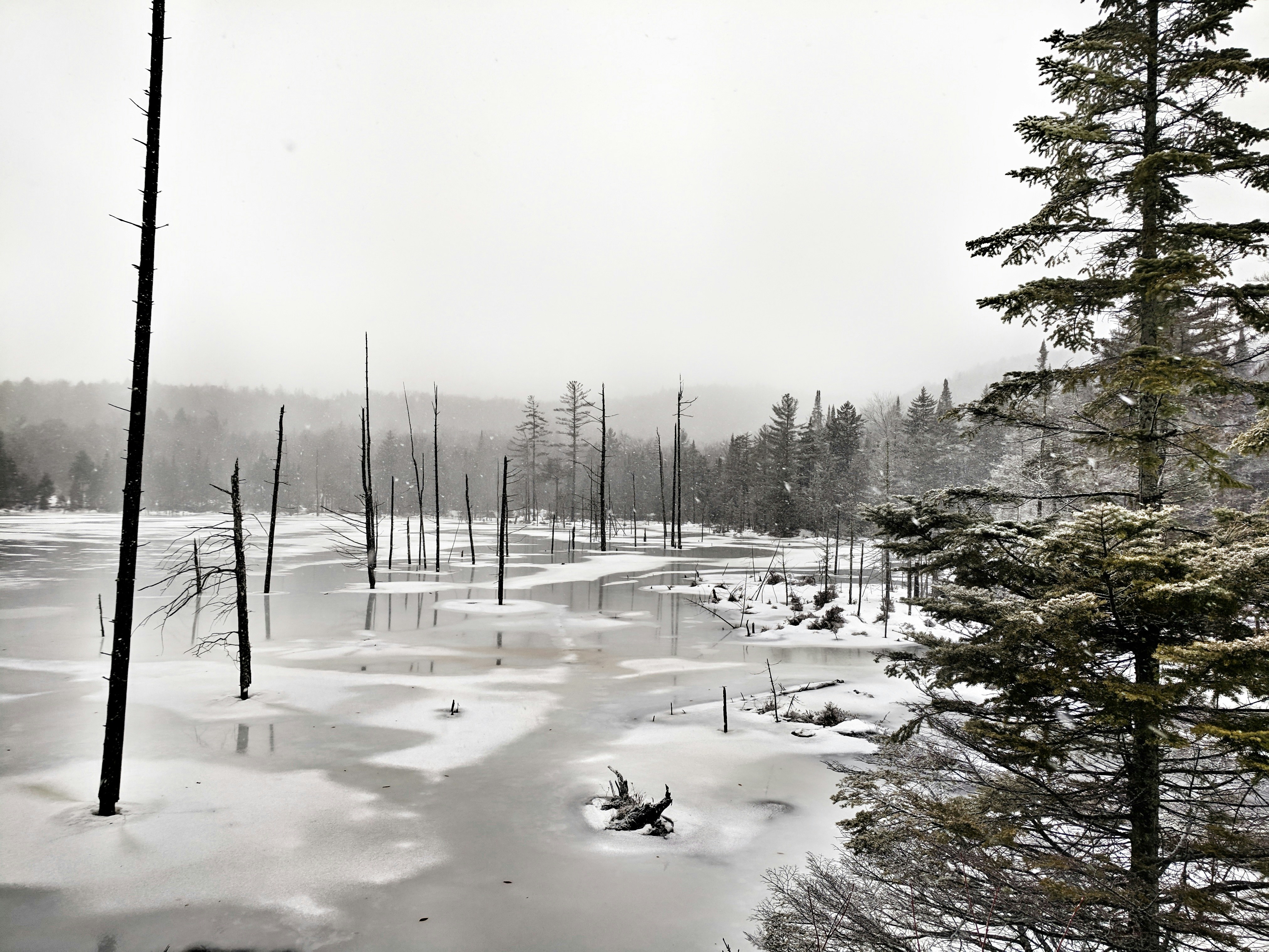 Winter Silence Across a Submerged Shoreline