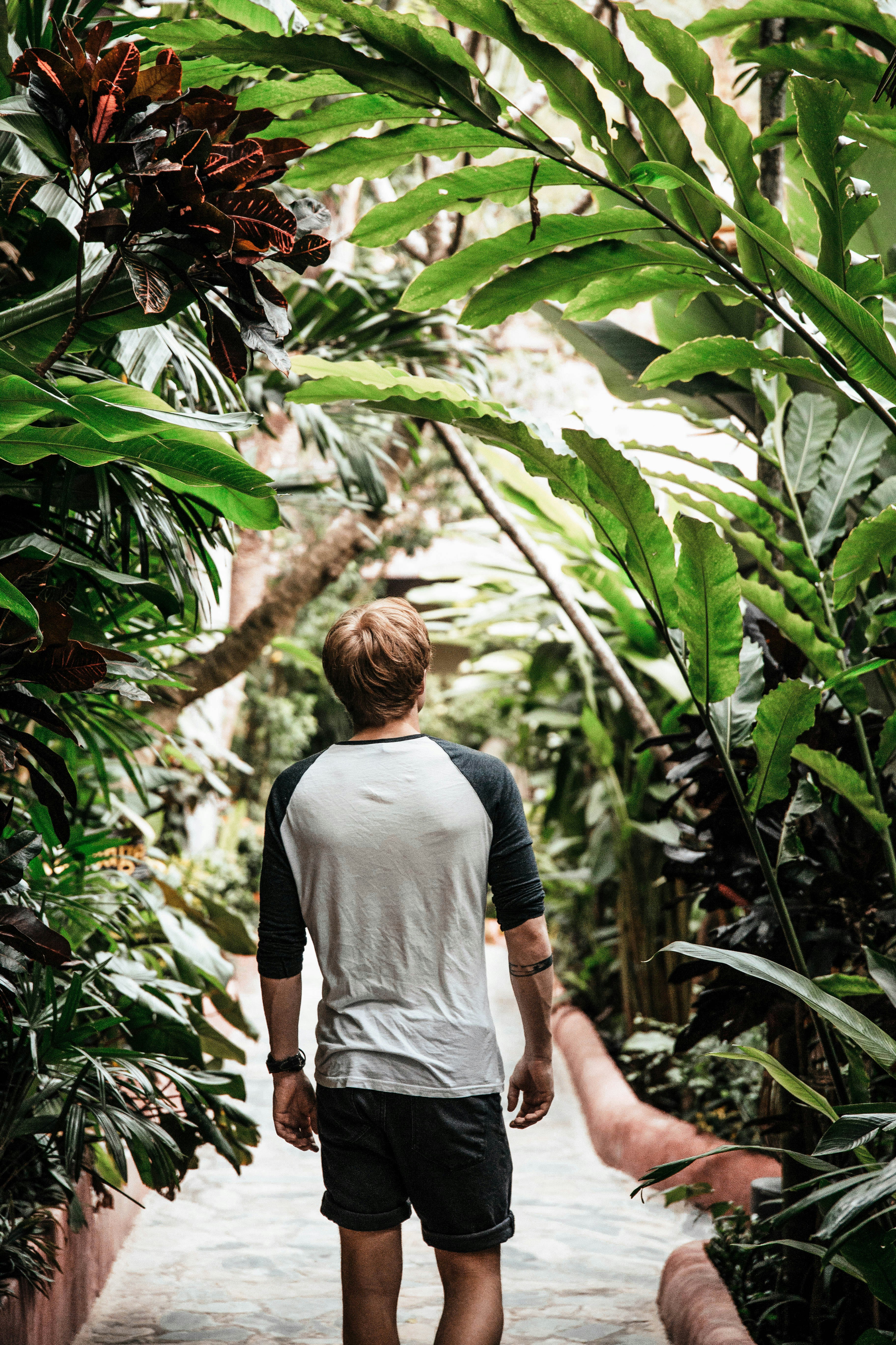 Lone Traveler in a Living Green Corridor