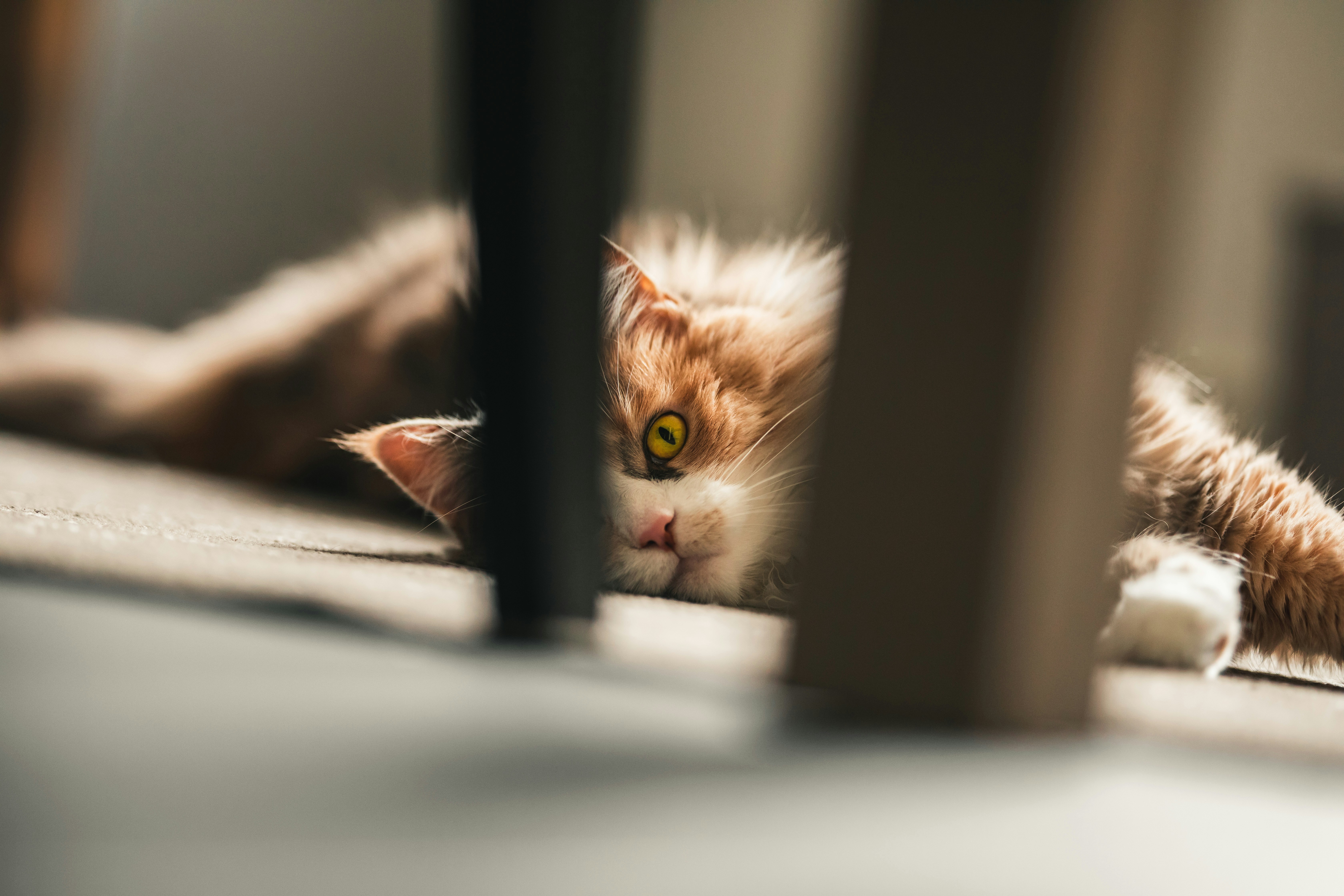 Hector Bermudez (@hectorbermudez) | Communauté photos Unsplash