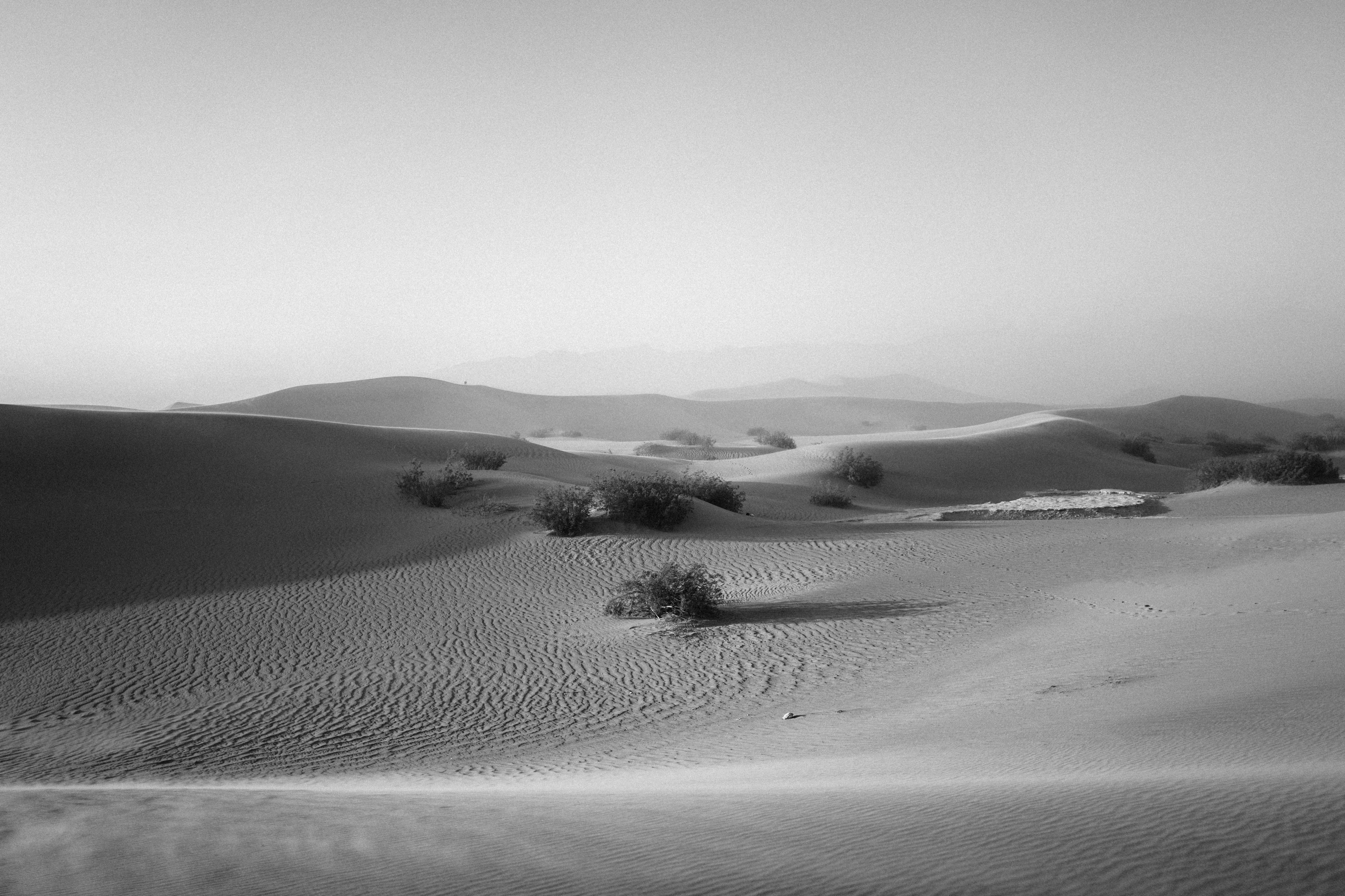 Grayscale photo of desert photo – Free Grey Image on Unsplash