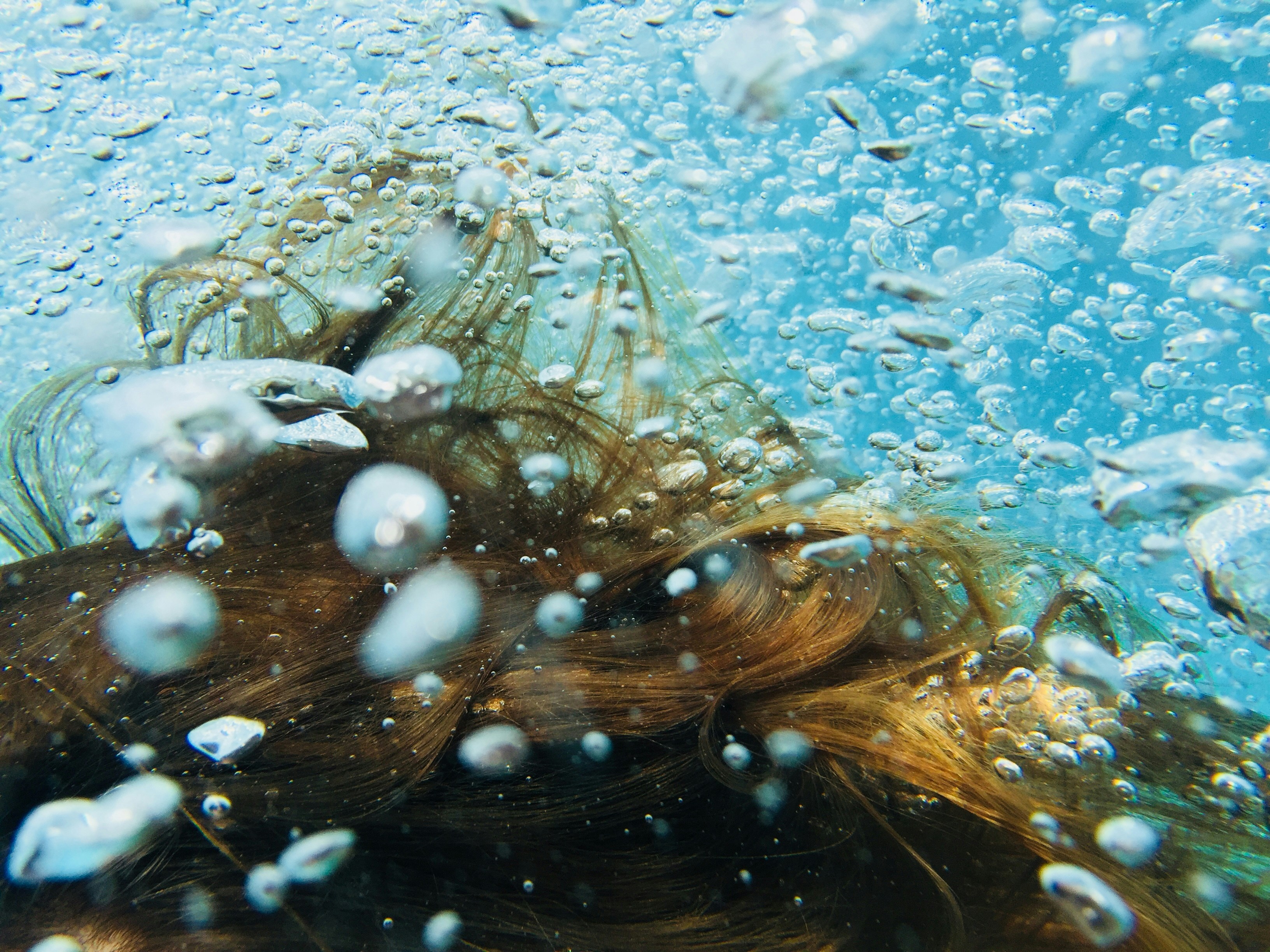 The Newest Pinterest Aesthetic: a Step-by-Step Guide to Rocking