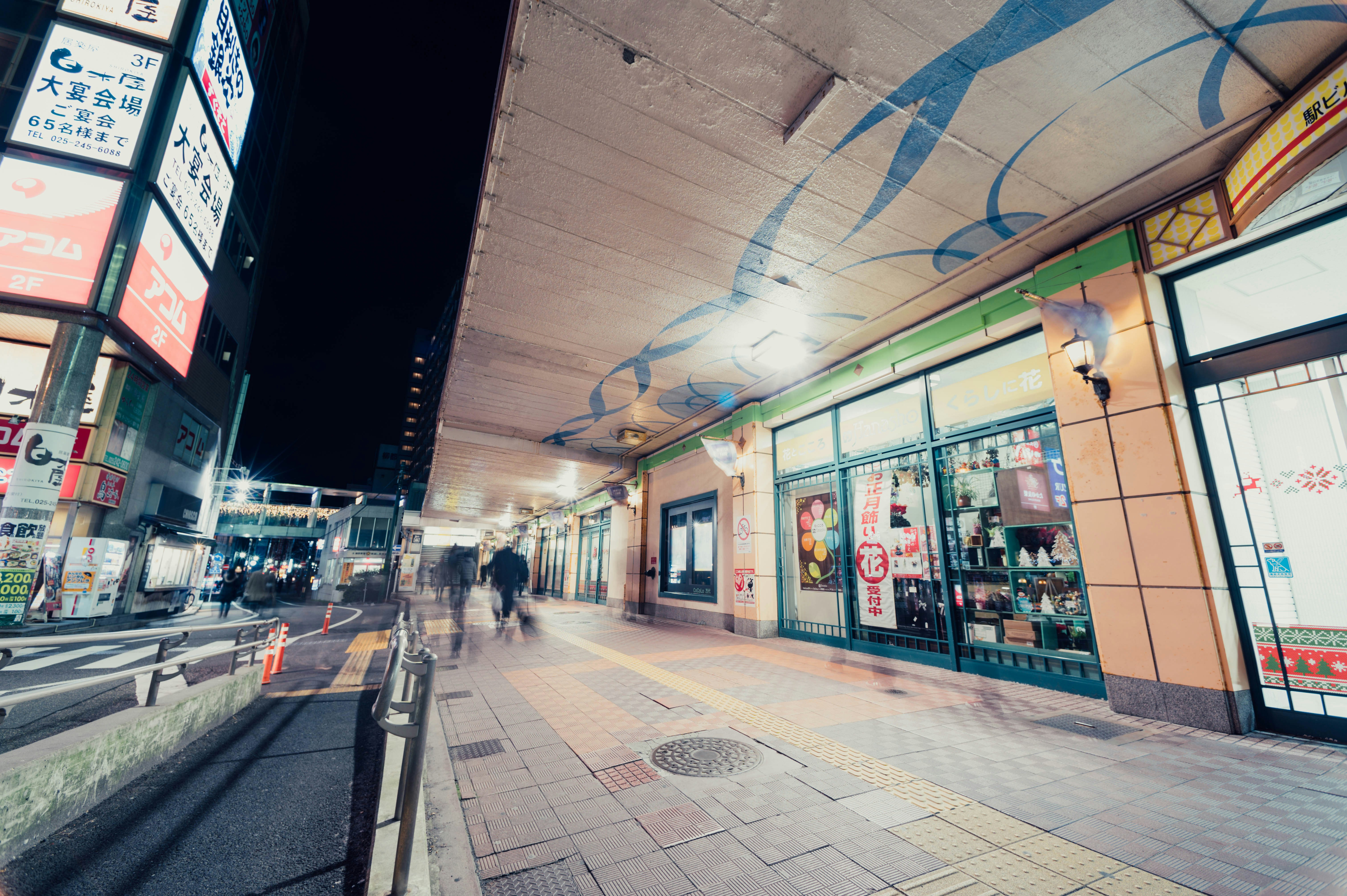 People walking near buildings during nighttime photo – Free Grey Image ...