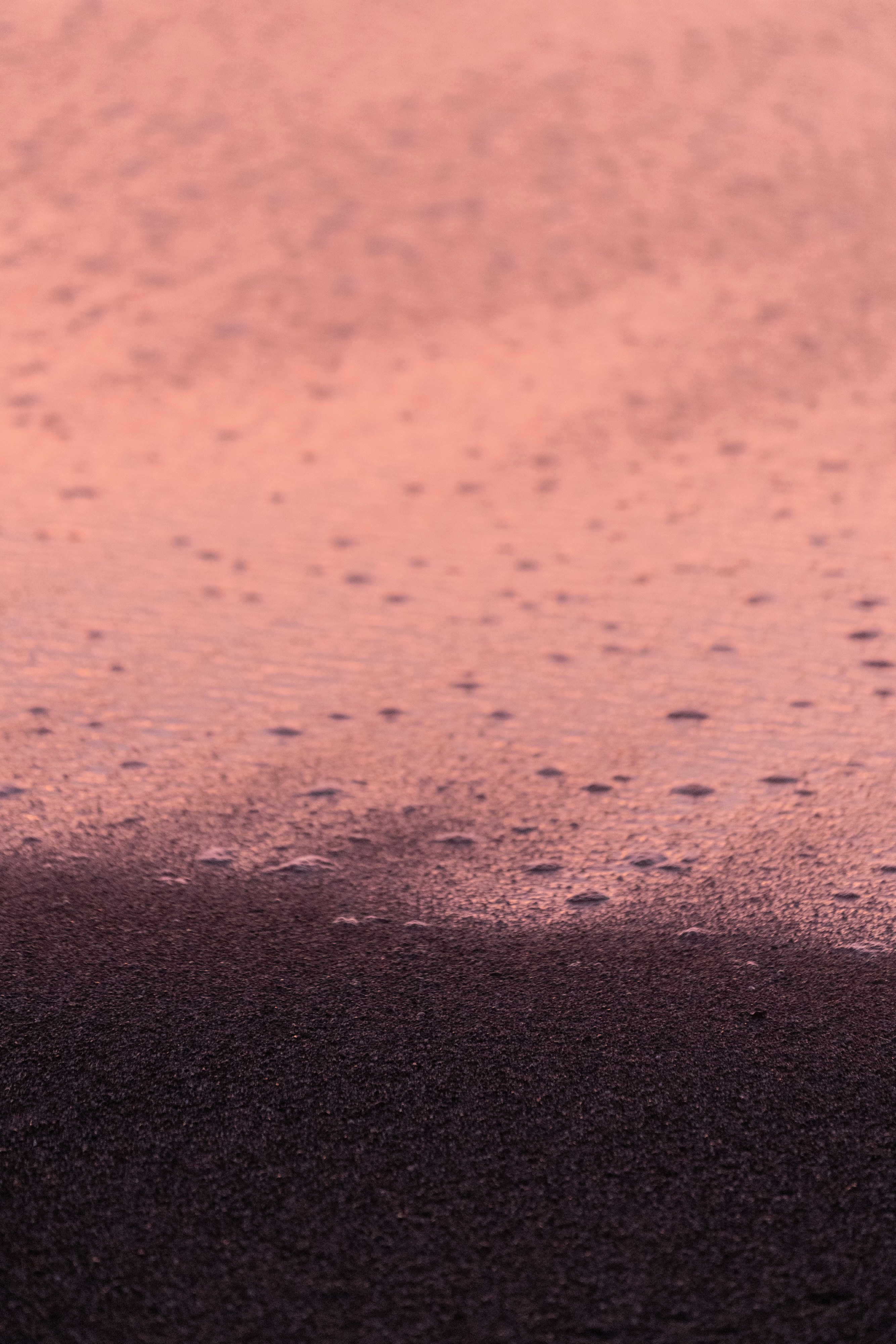 Pink Pavement Dew: A Macro Portrait of Rosy, Dew-Dotted Asphalt