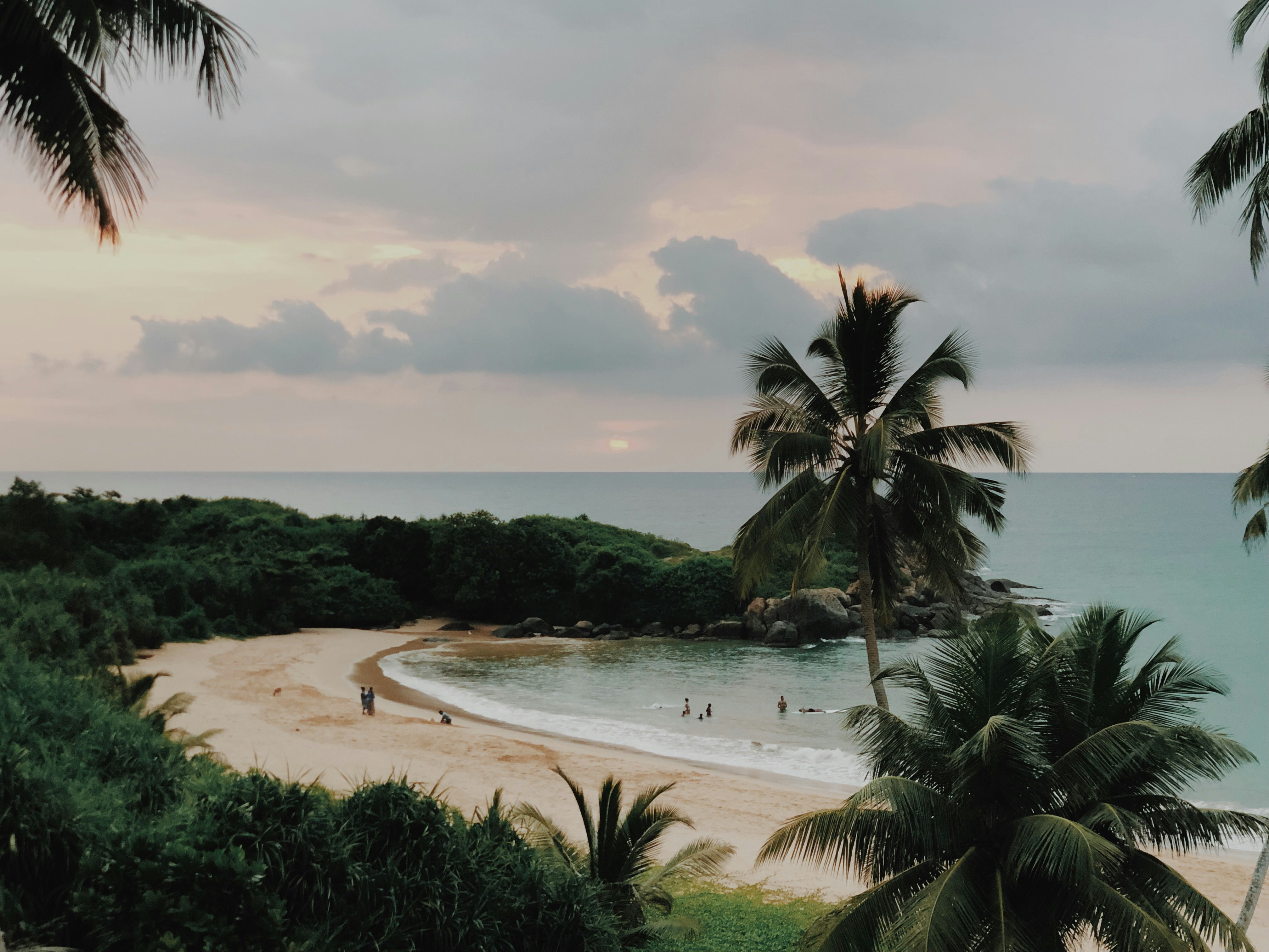 Palm-fringed beach with gentle waves under a pastel-hued sunset sky.