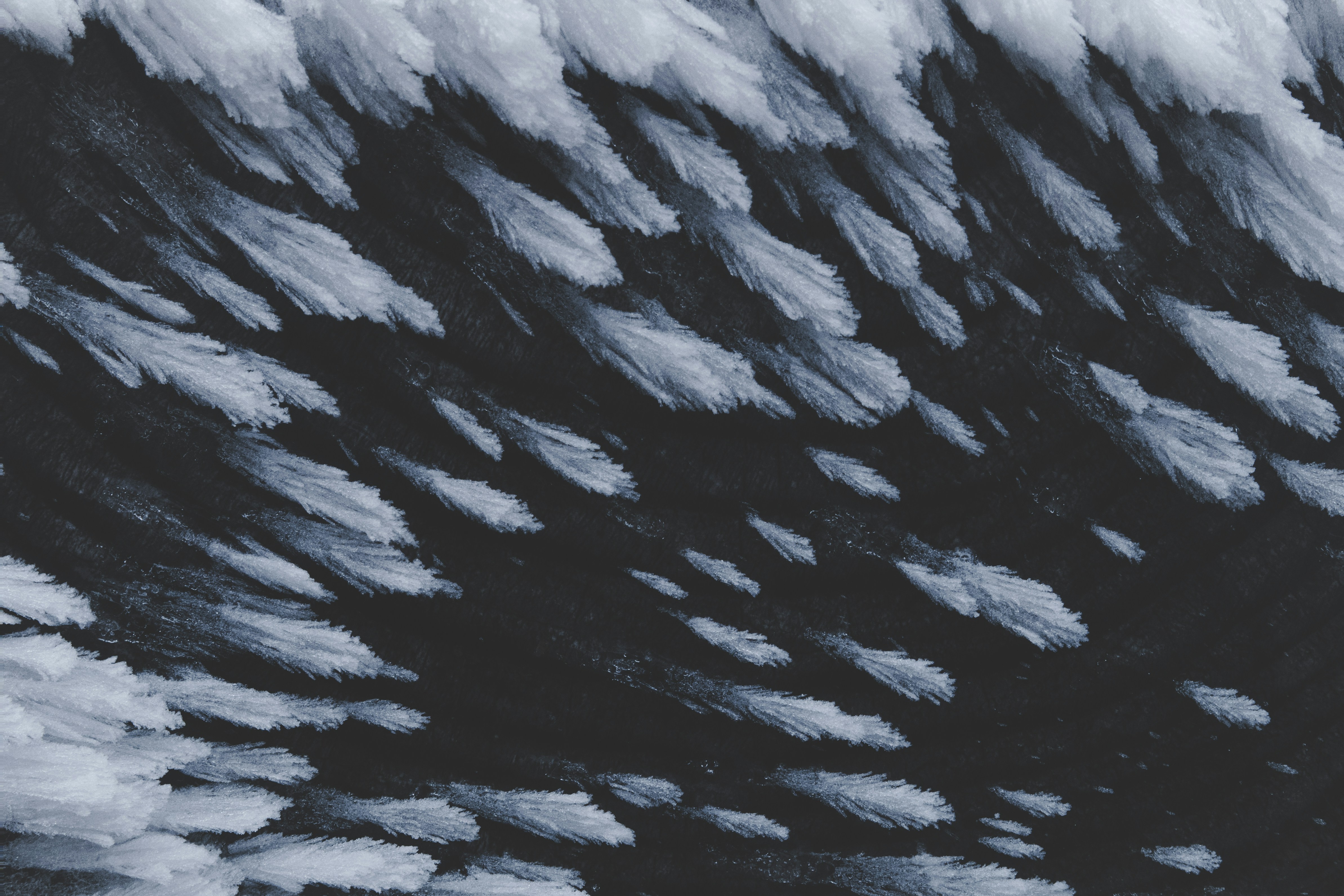 Intricate patterns of frost forming delicate textures on a dark surface, highlighting nature's artistry.