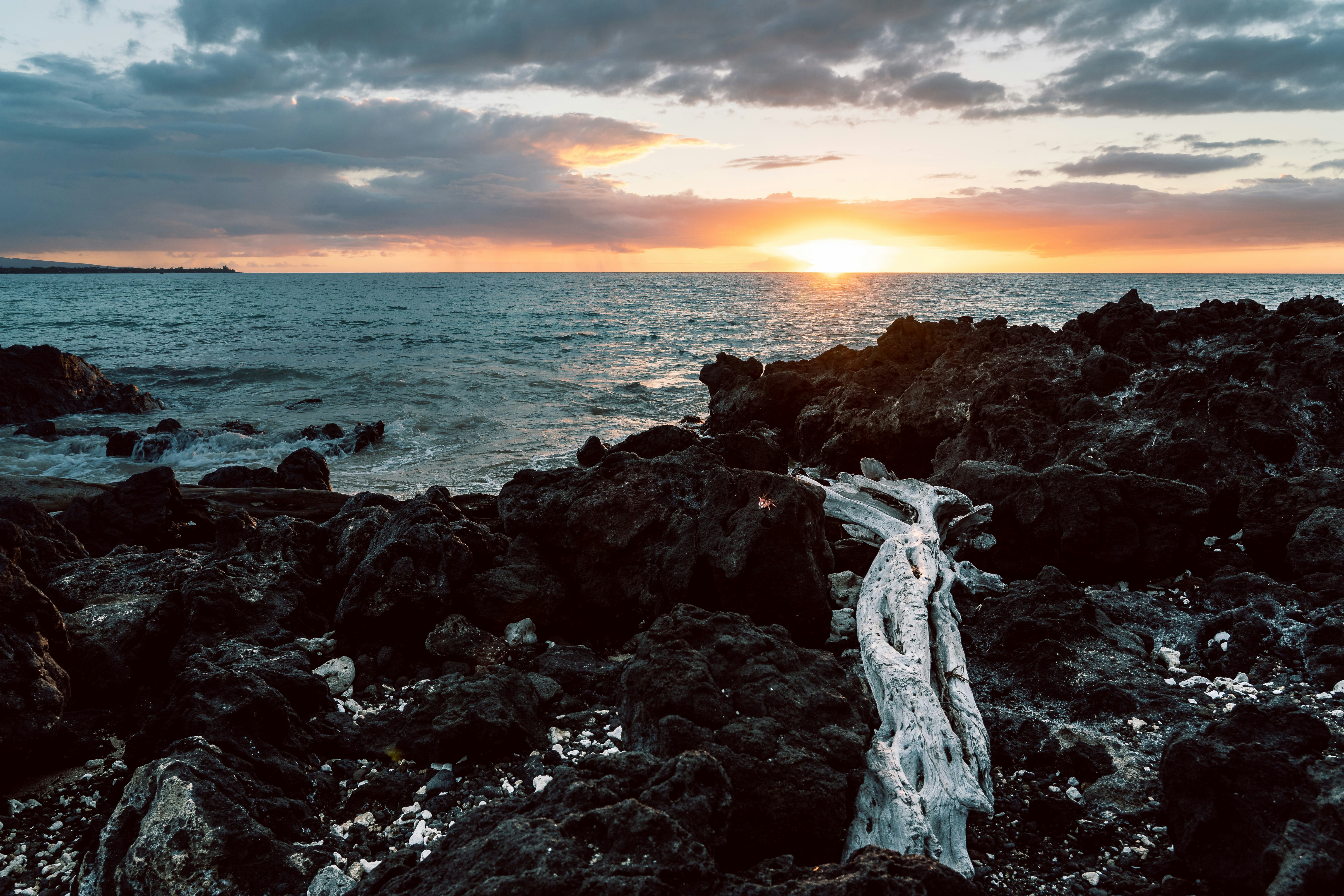 Dusk on the Lava Shore: A Driftwood Ribbon Leads to a Golden Horizon