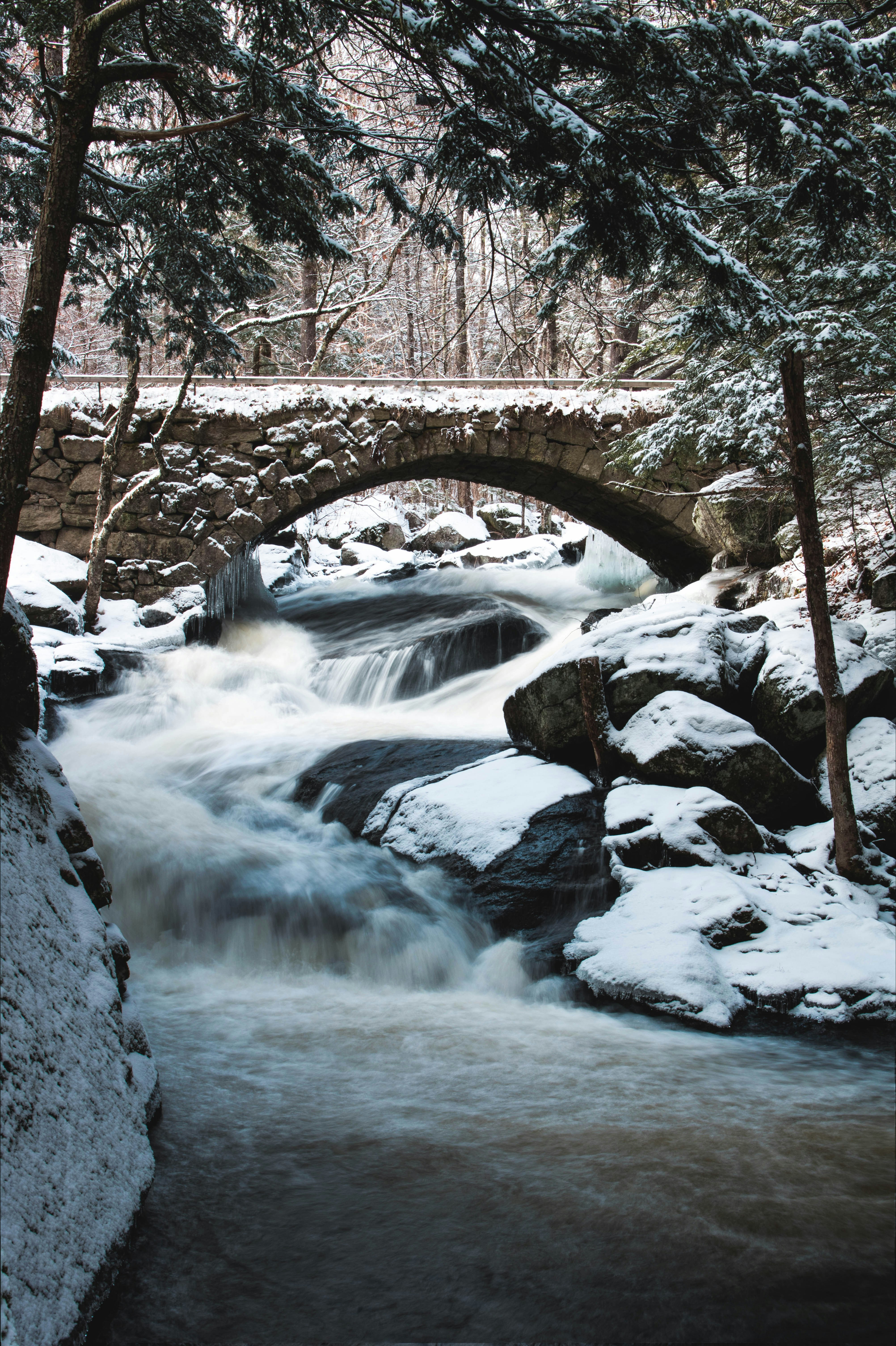 River with bridge surrounded by trees during daytime photo – Free ...