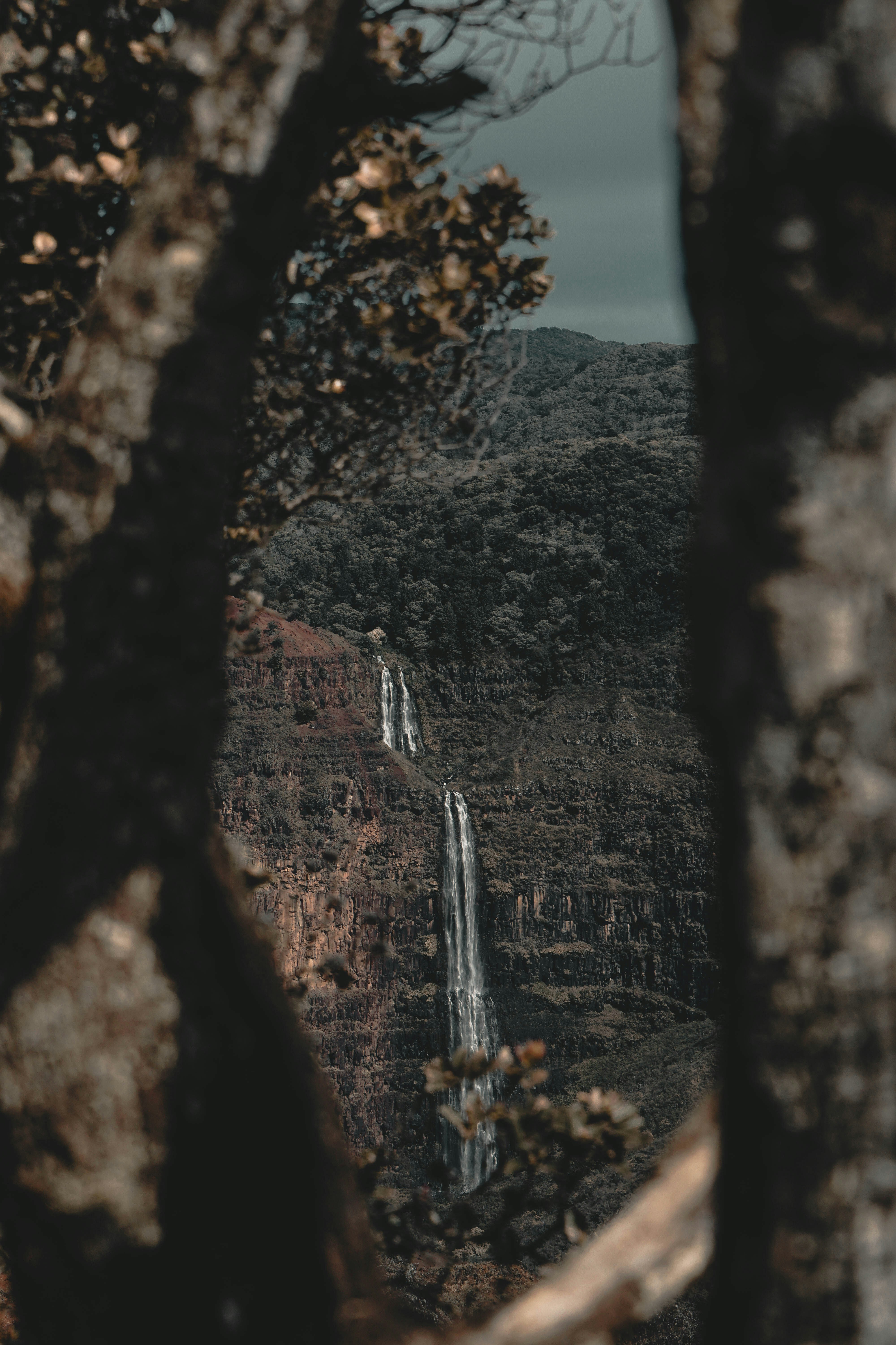 Framed Cascade: a Hidden Waterfall Between Shadowed Pines